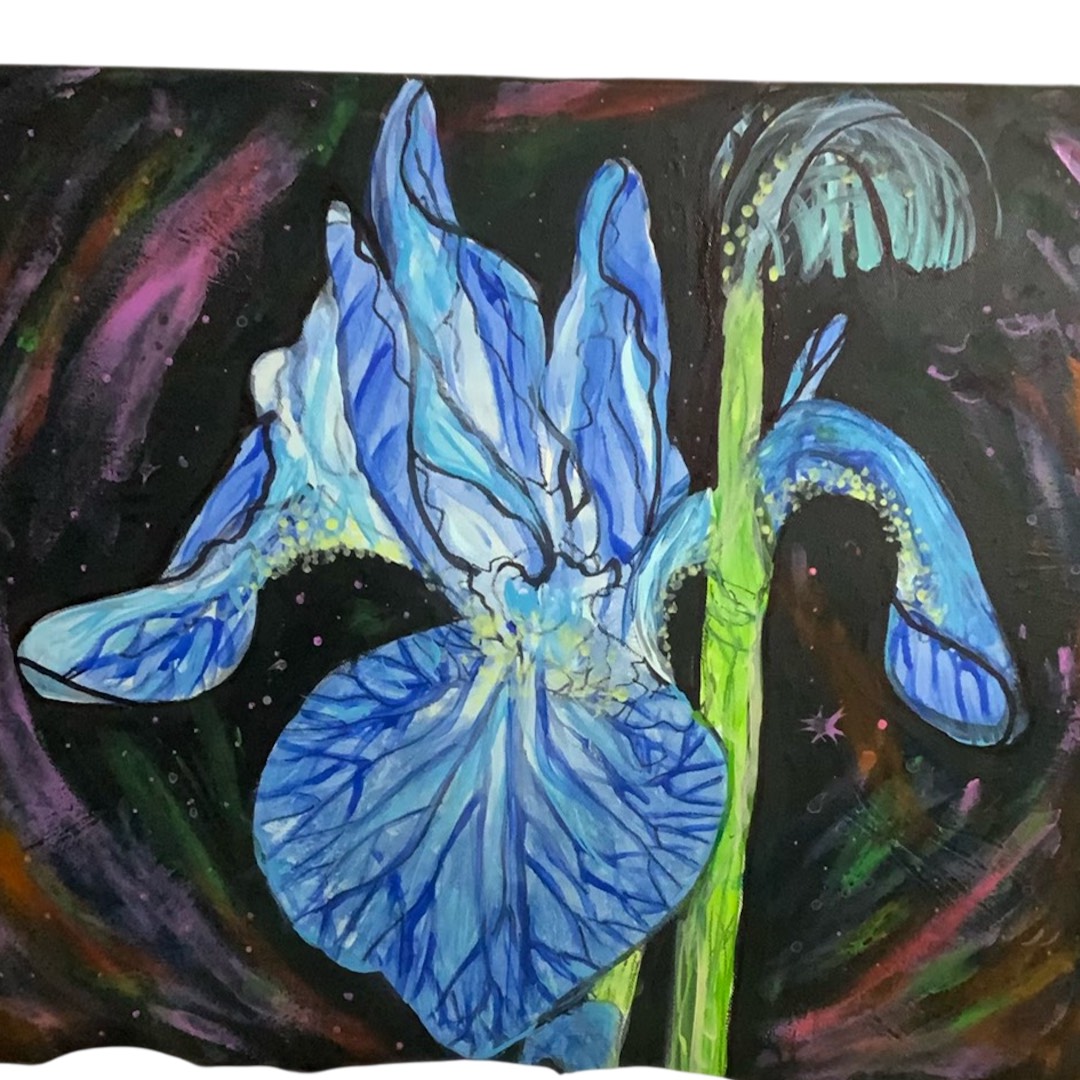 09. 20” By 16” UV Glowy “Blue Heart Of The Garden Galactic Iris With ...