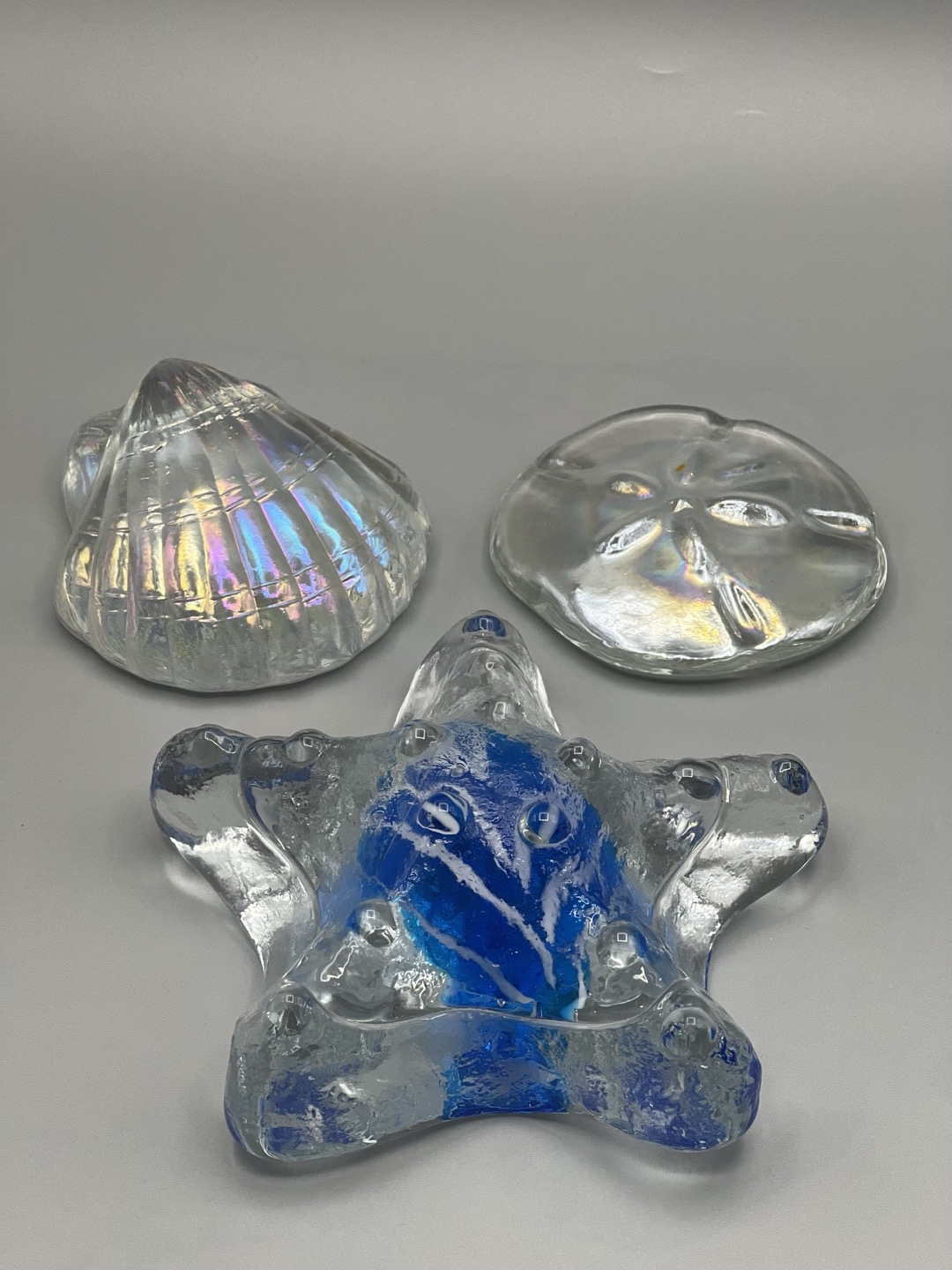 Bundle Of Paperwieght. Starfishand Shells. 3 In Price Of One.