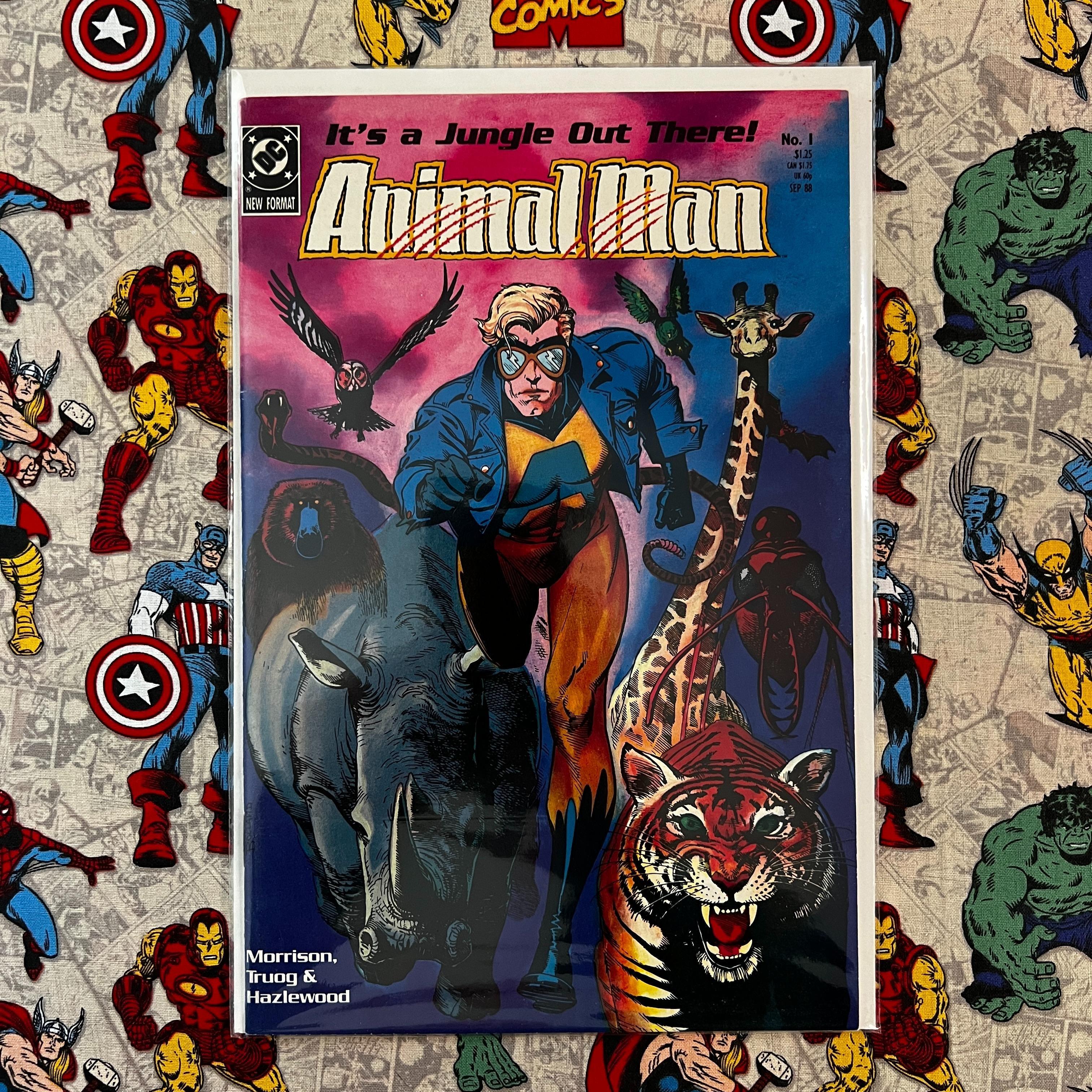 Animal Man 1 DC Comics 1988 GRANT MORRISON BRIAN BOLLAND Justice League ...