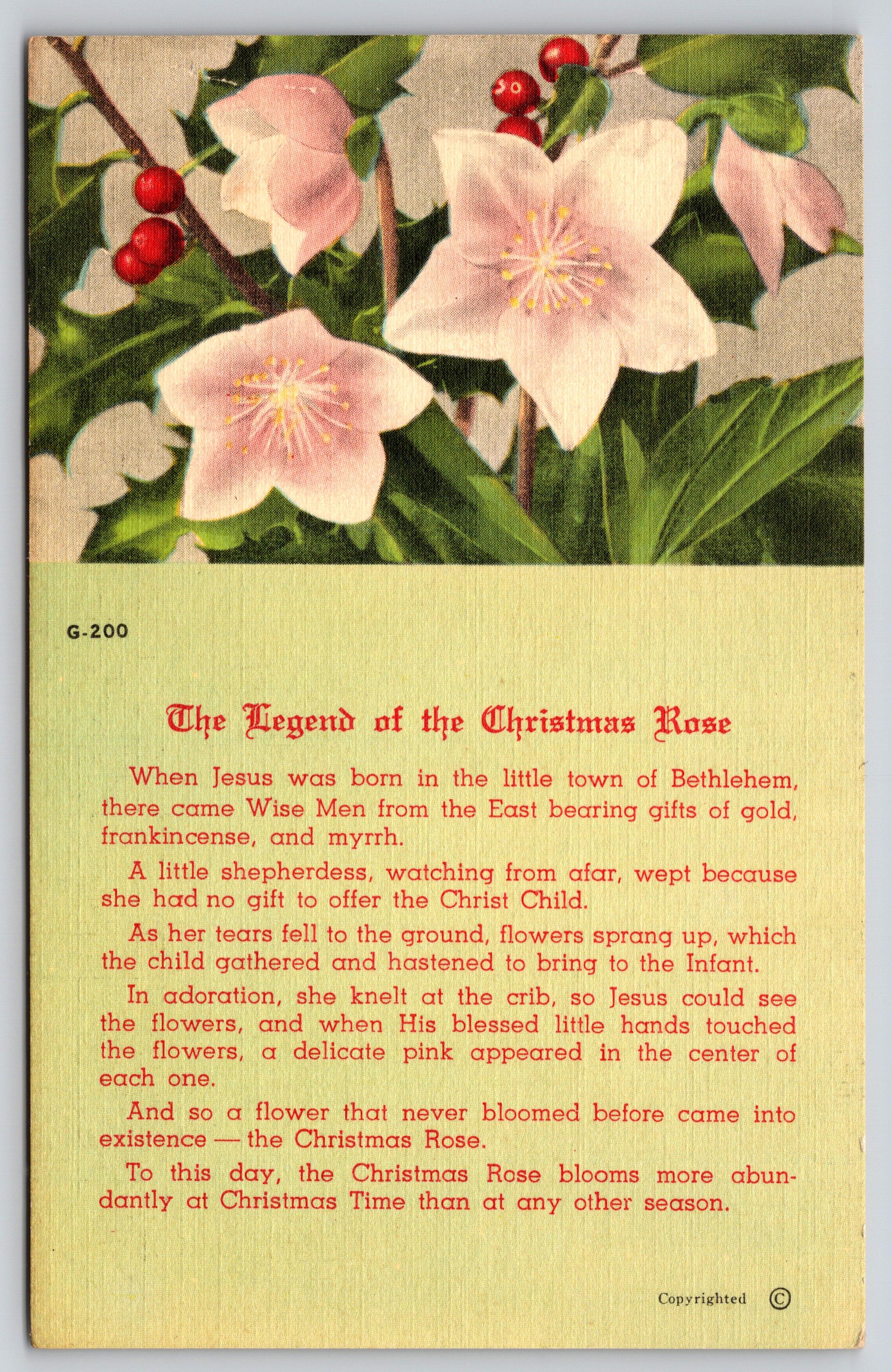 Postcard Legend of the Christmas Rose Story Linen - 14642