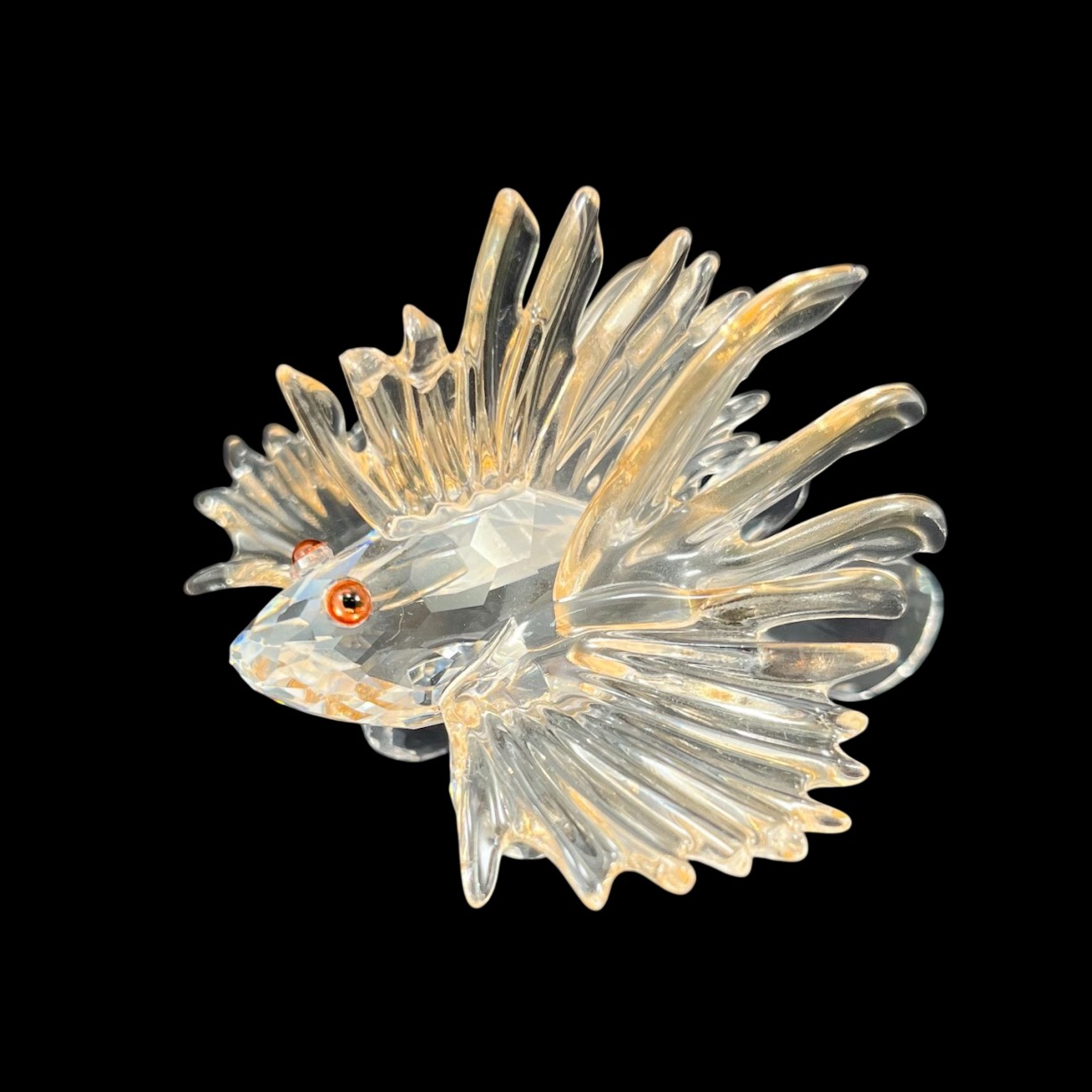 Read* Swarovski Crystal Champagne South Sea Lion Fish Figurine, Retired ...
