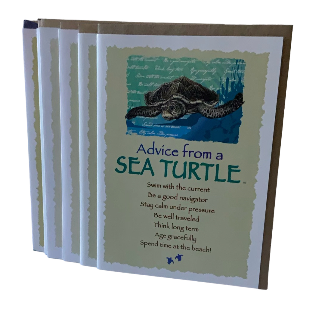 Advice From A Sea Turtle 🐢 Greeting Card 6 Card Set
