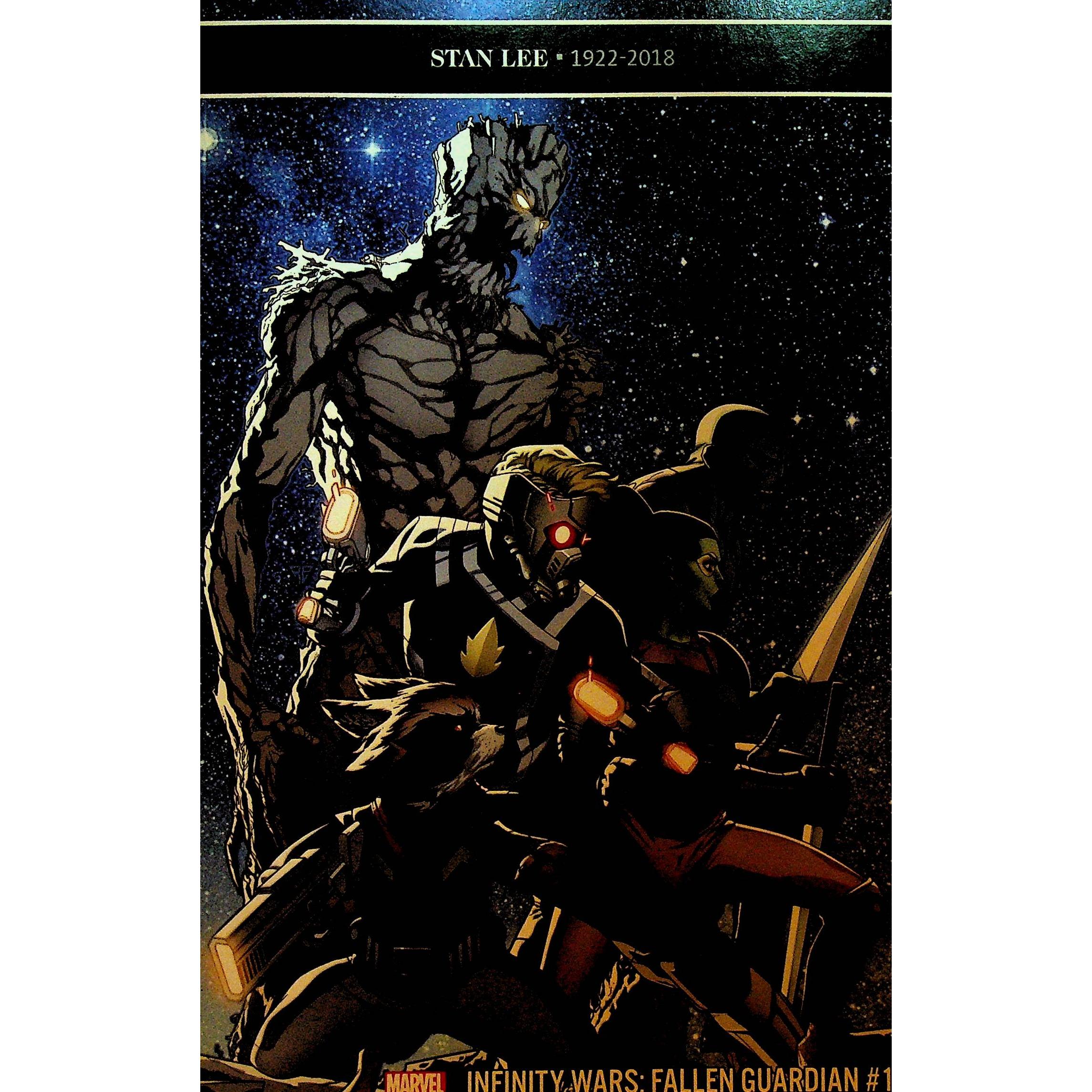 Infinity Wars Fallen Guardian 1