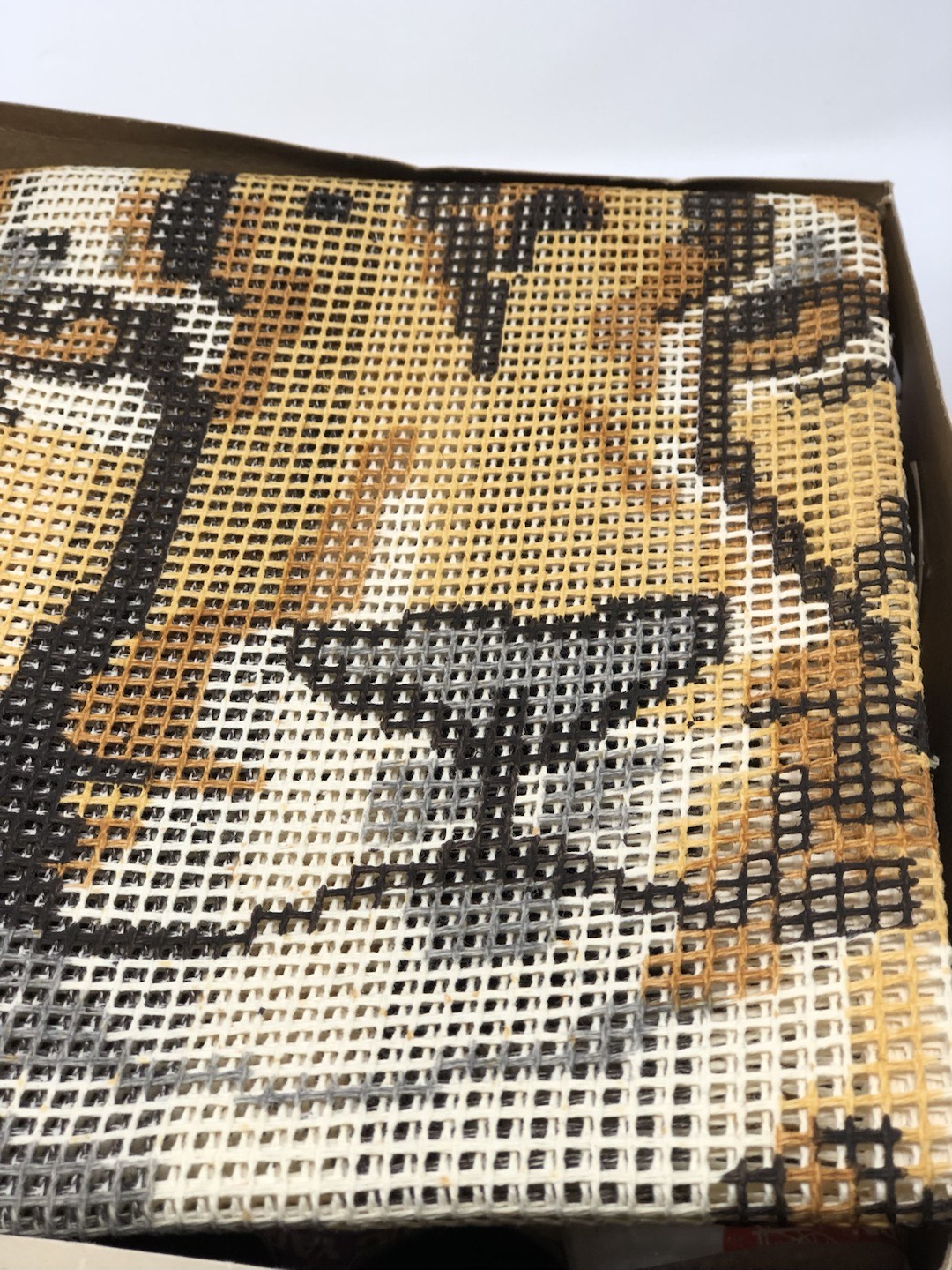 Multiple Choices Latch Hook Rug Kit Cheetah Portrait 1979
