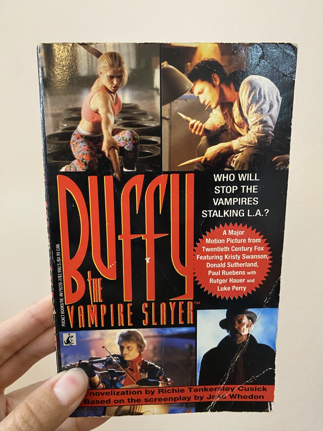 Buffy Vampire Slayer Book