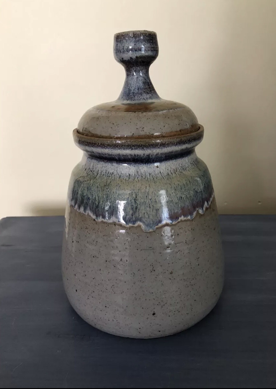 Hand Thrown Studio Pottery Cookie Jar Handcrafted Stoneware Crock Canister