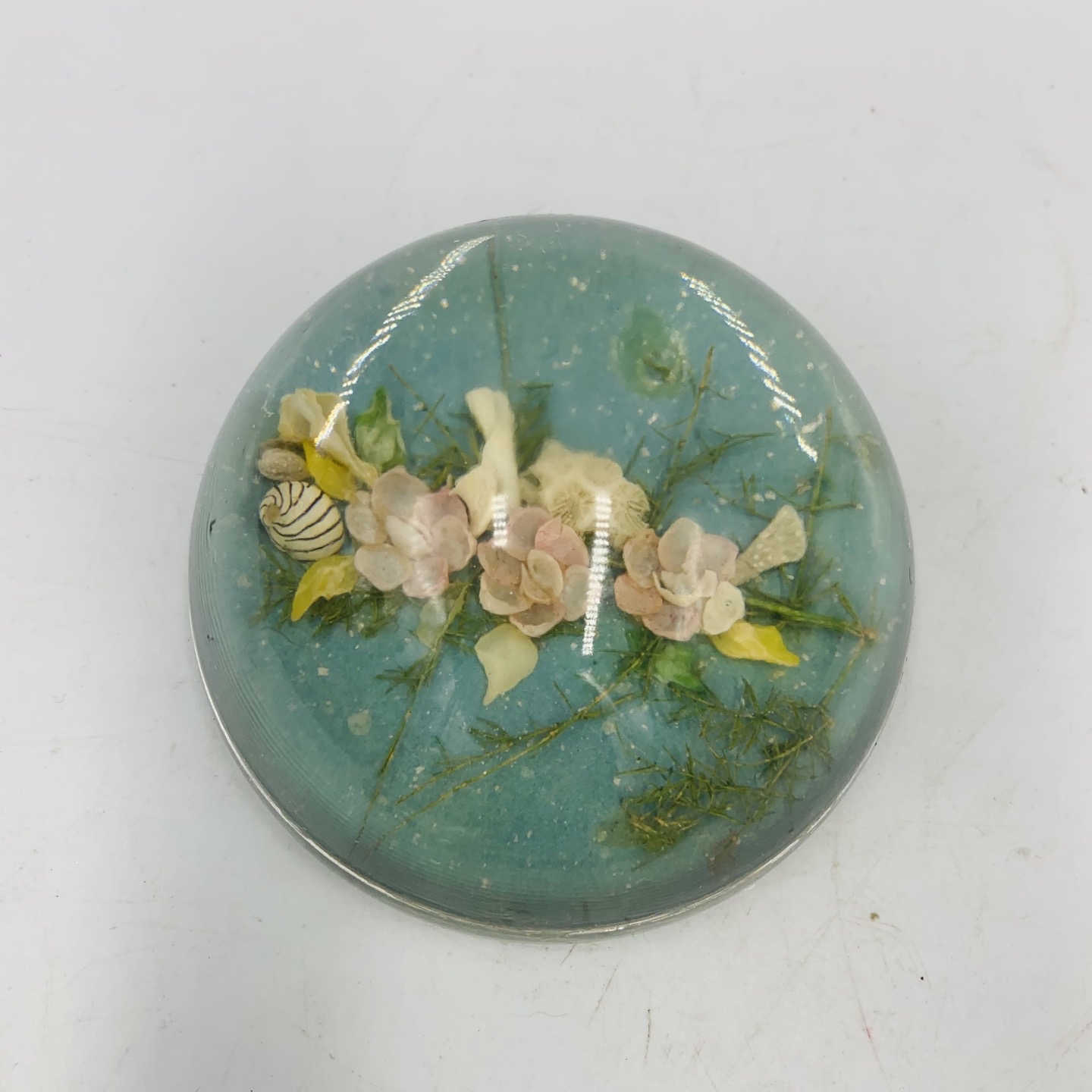 16 Antique Dome Shaped Paperweight With Seashell Flowers