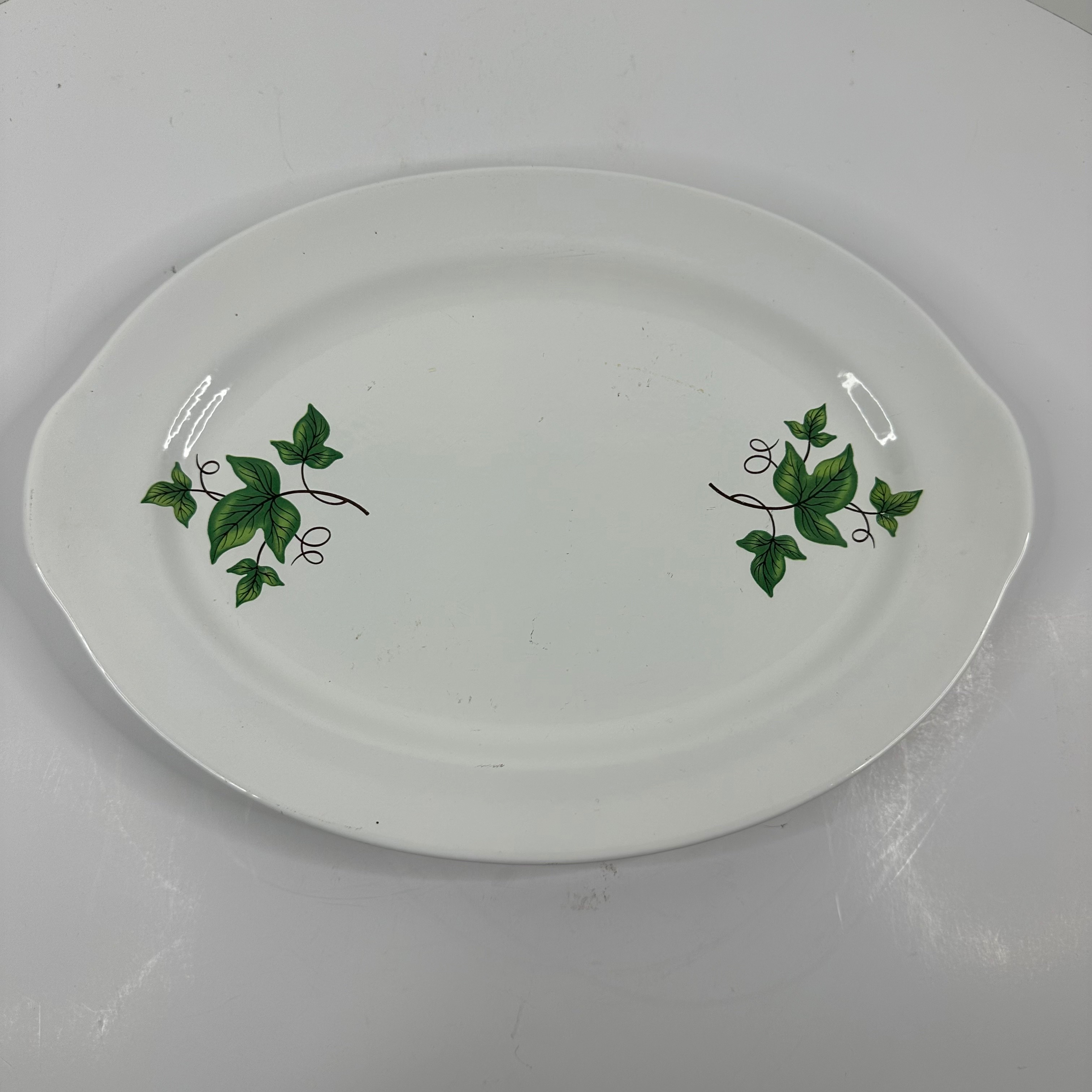 Vintage Prizer Ware Enamel Cast Iron Green Ivy Oval Steak Platter SP2