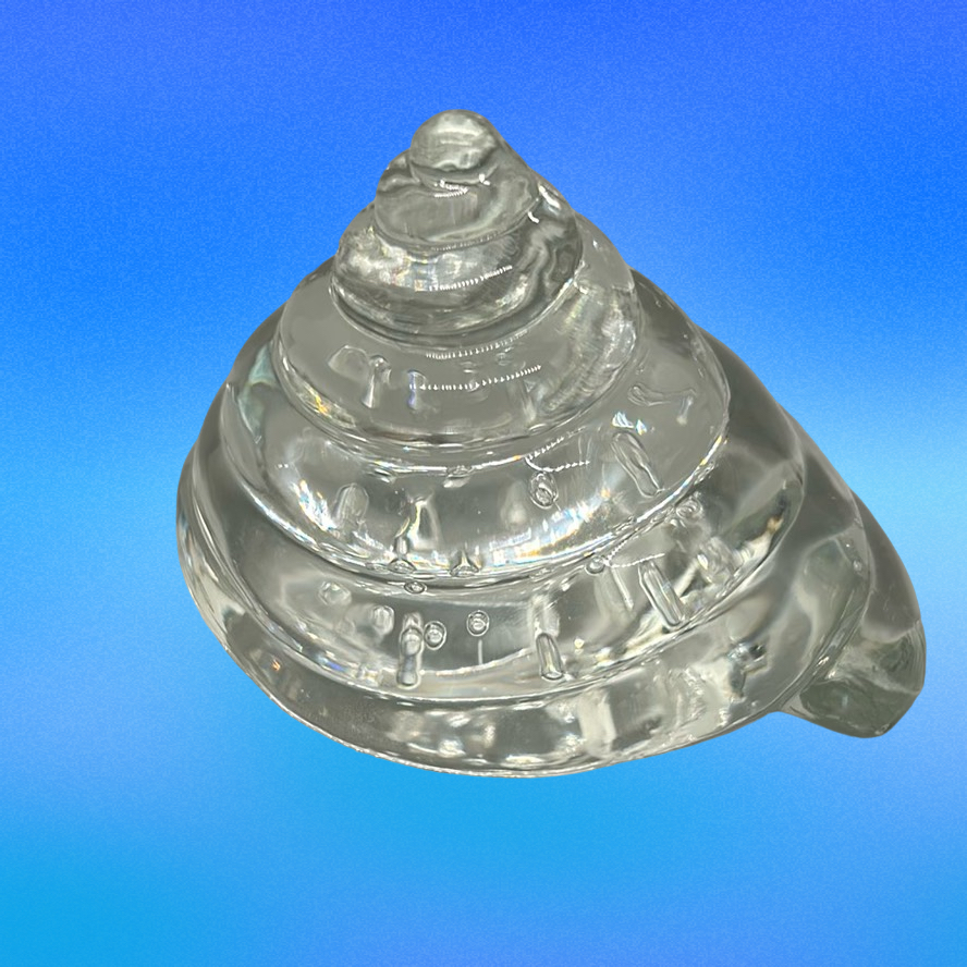 13 Clear Glass Shell Paperweight