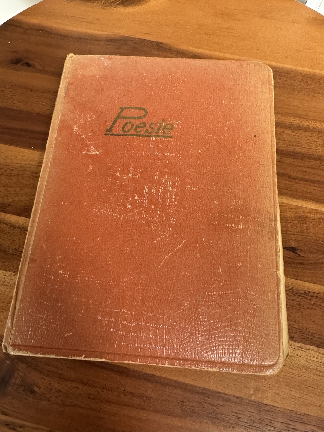 Vintage Dutch Diary Journal Book 1950’s