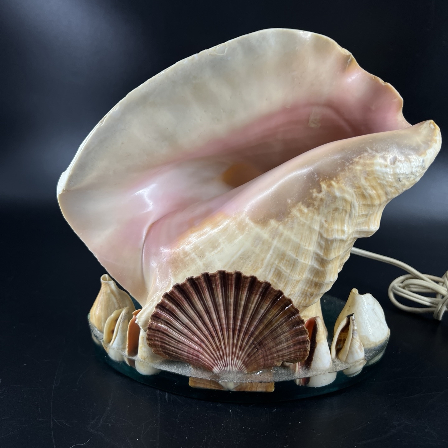 Sea Shell Light On Lucite Base