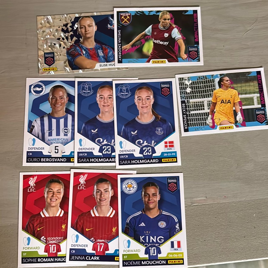 WSL 2025 Stickers Panini