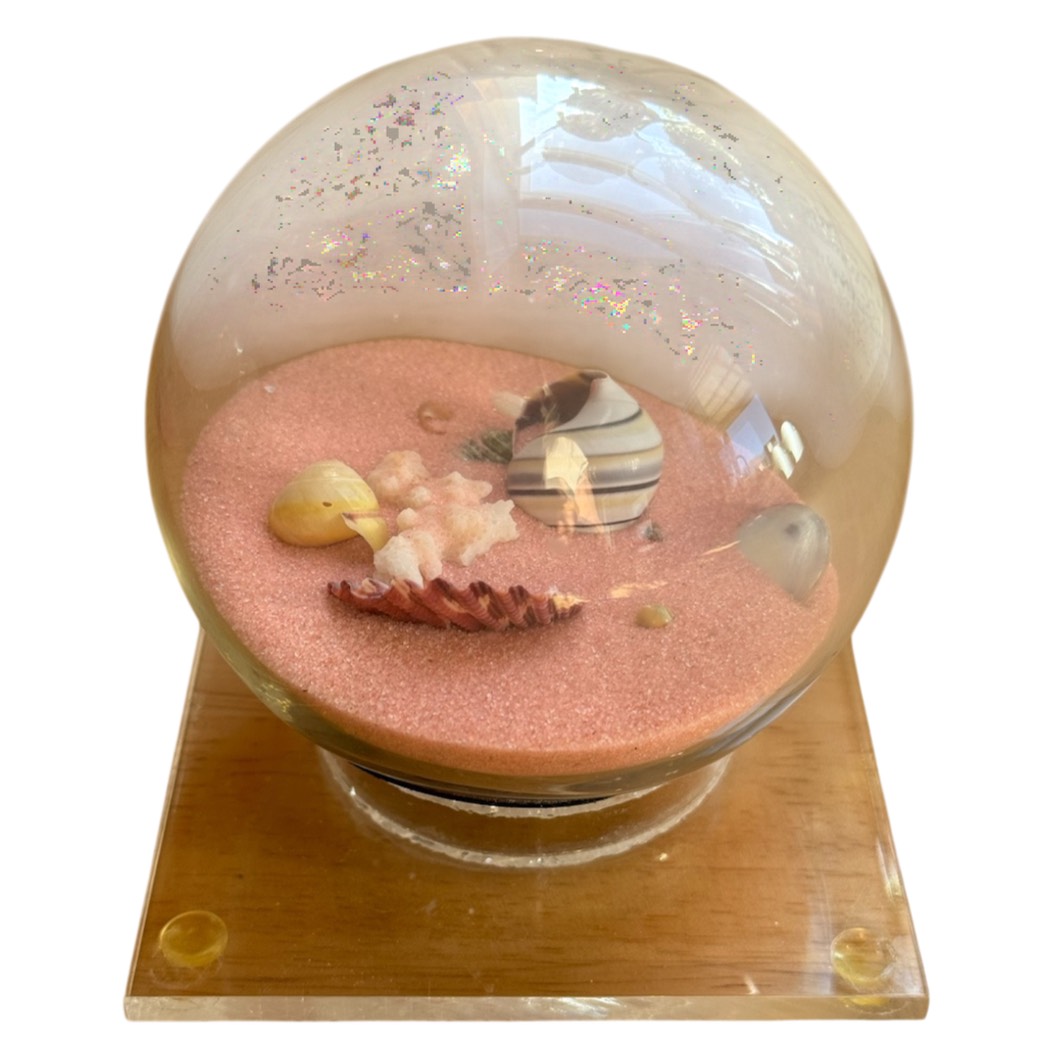 Vintage Sanstar Productions Sand And Shell Paperweight On acrylic stand