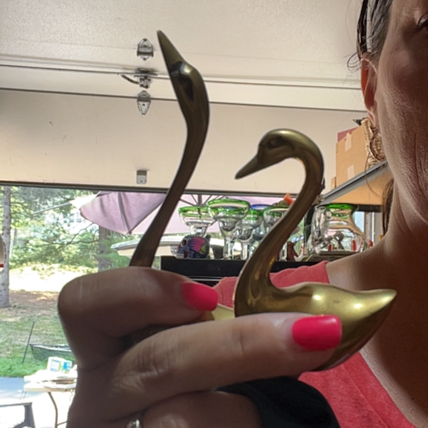 Brass Swans