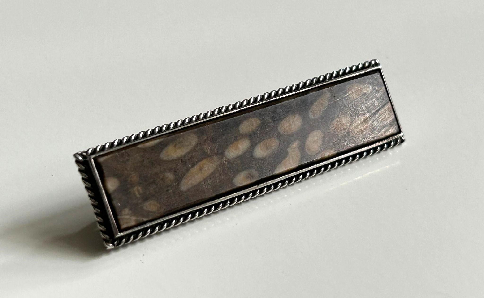 Victorian fossil and sterling silver brooch, antique jewelry, Victorian ...