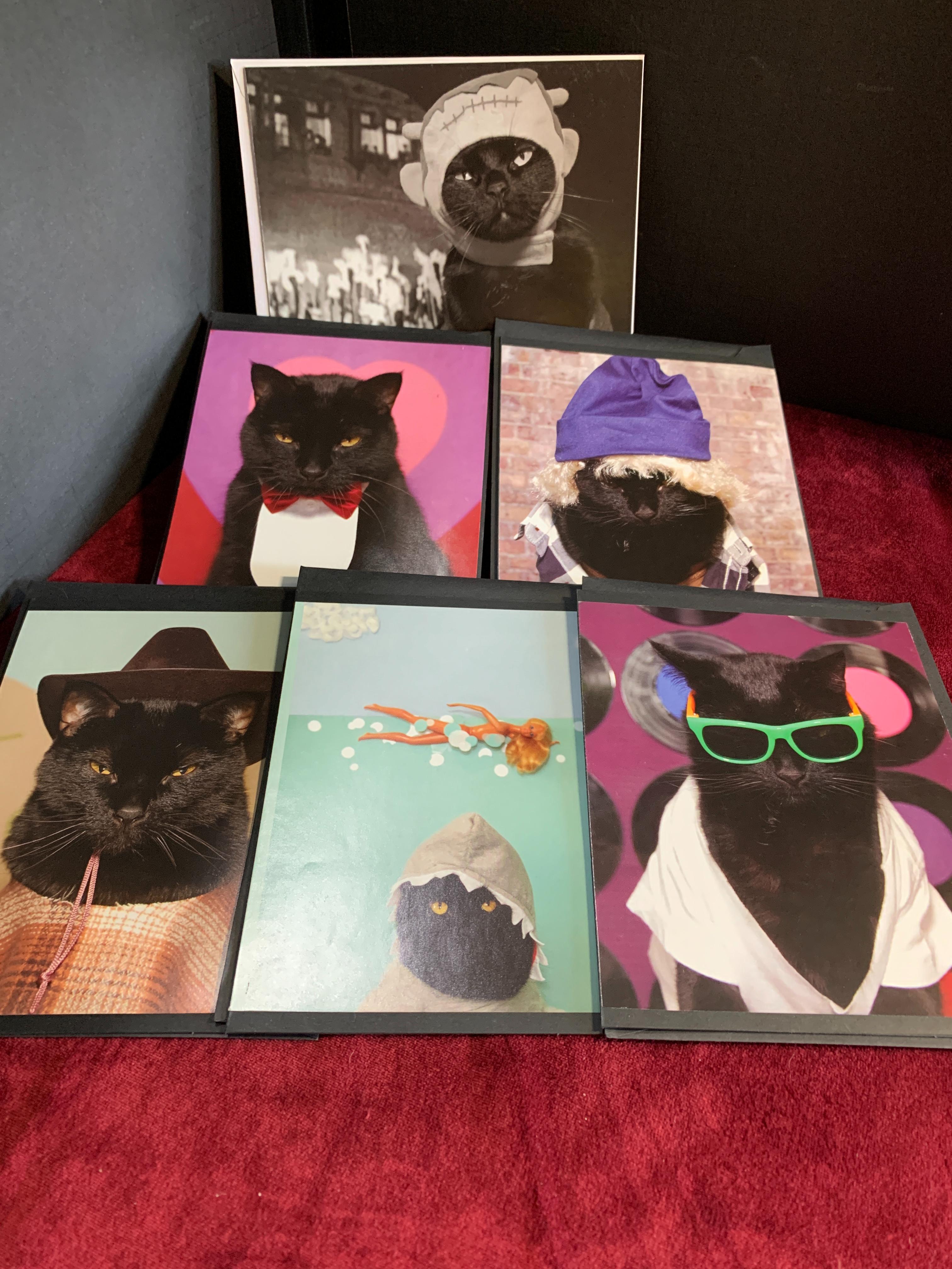6 Crazy Cat Cards