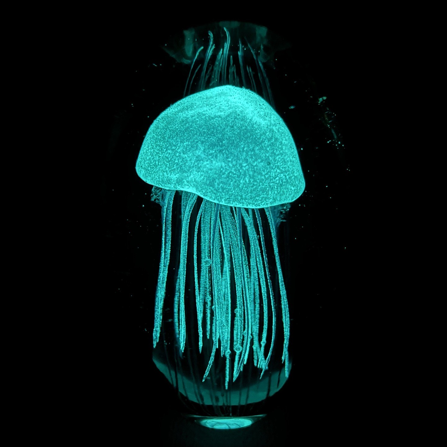UV Reactive Phosphorus Large Art Glass Jellyfish Paperweight, Glow In ...