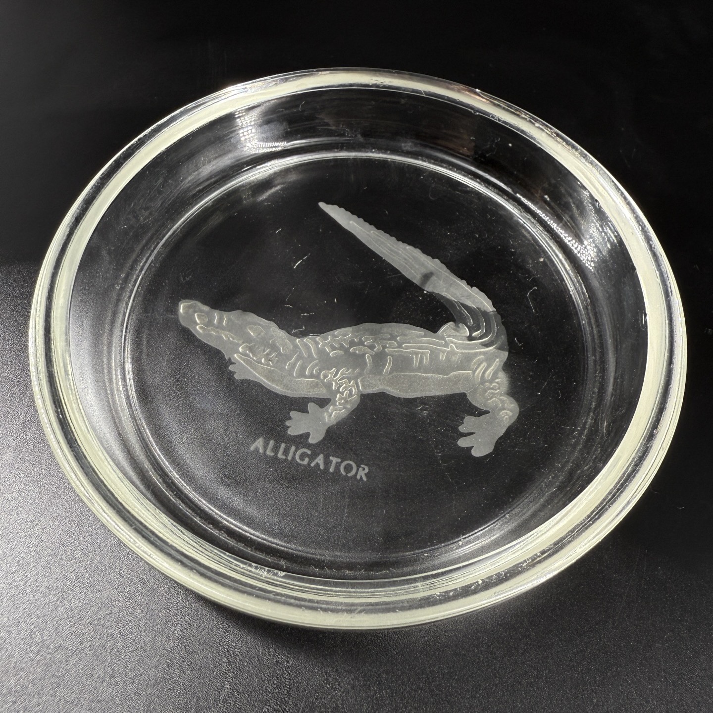 Alligator Glass Wine Bottle Coaster