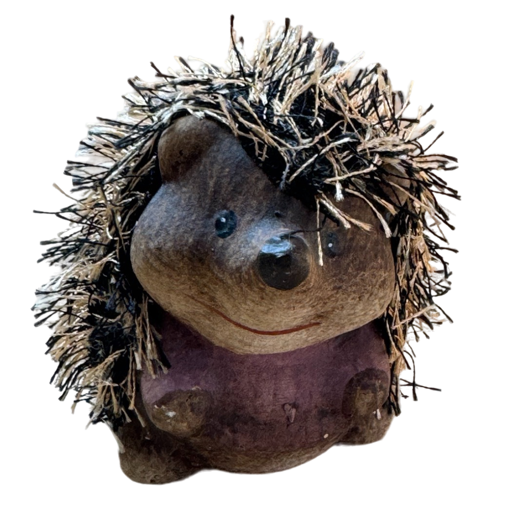 Cute Little Furry Hedgehog