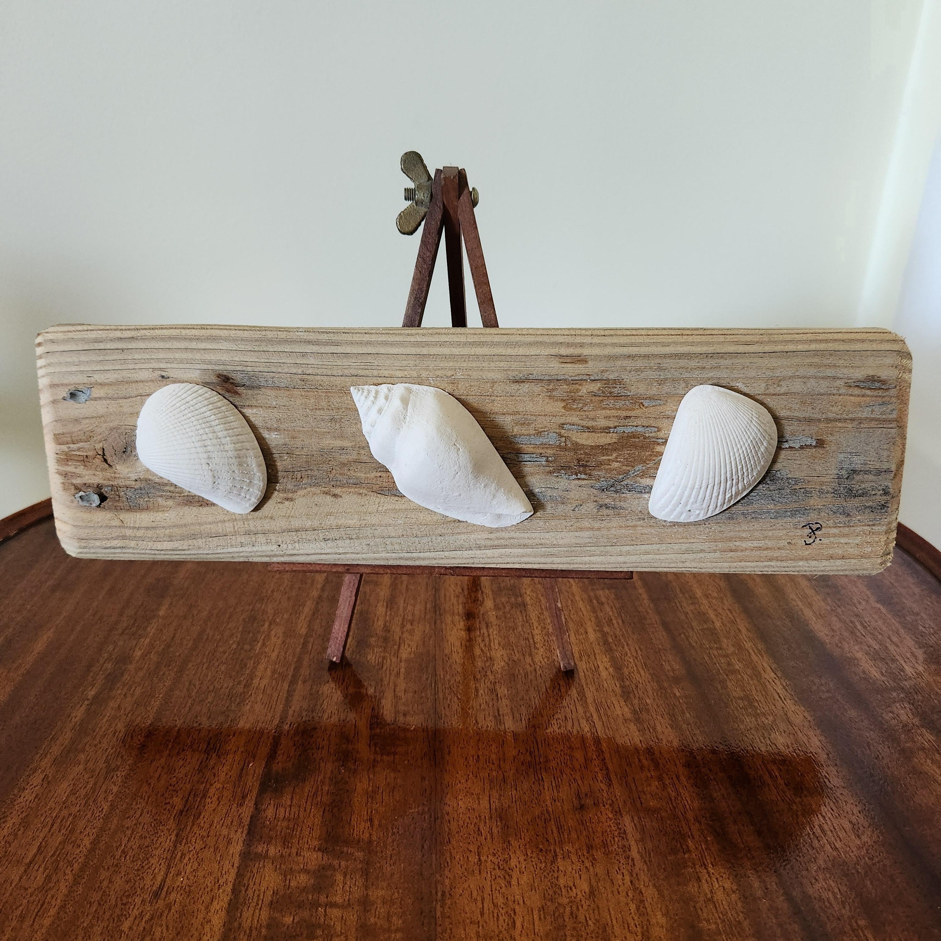 Plaster Cast Of Beach Shells On Reclaimed Wood, 3-dimensional, Wall ...