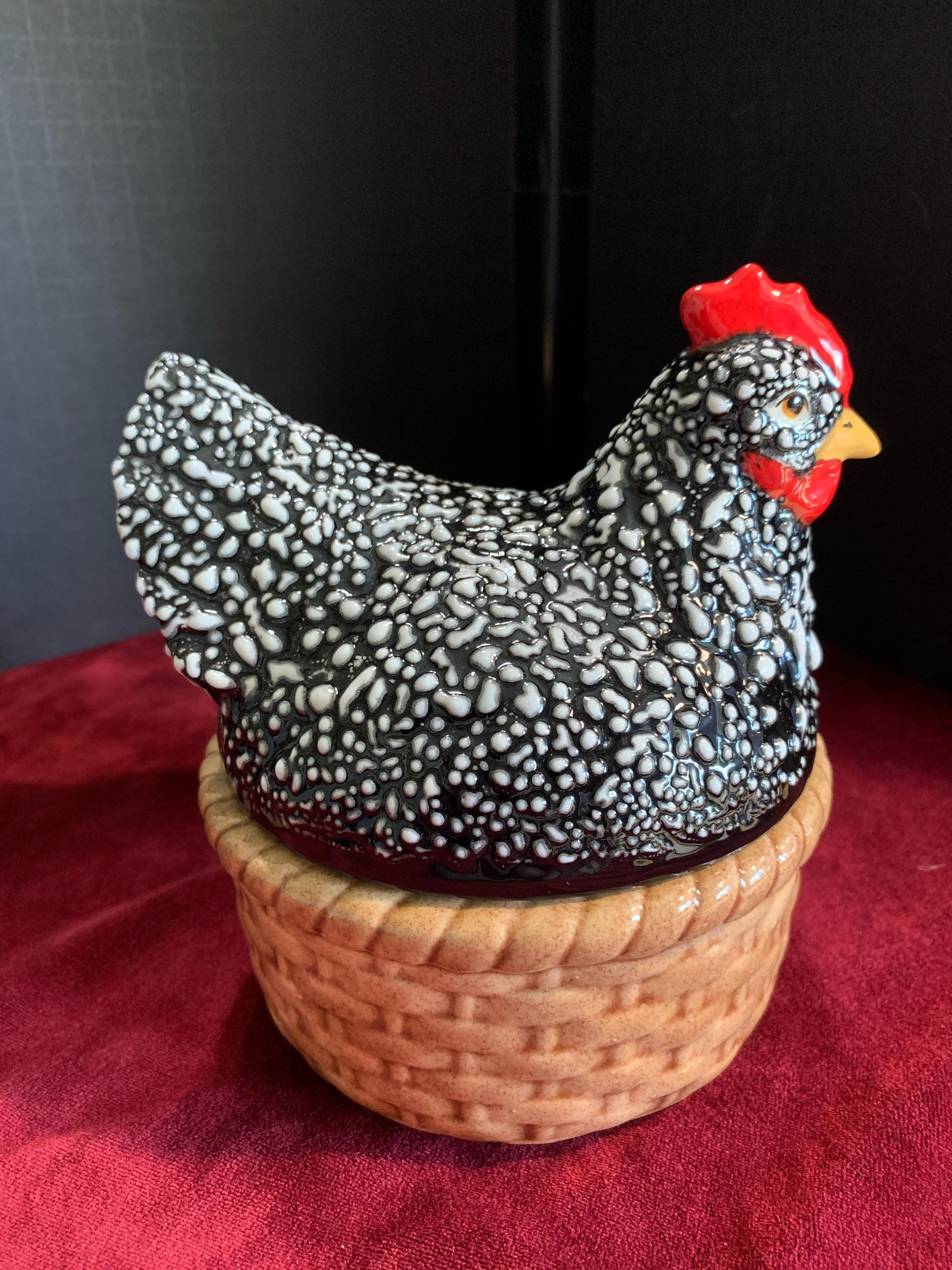 Hobbyist Hen on Nest