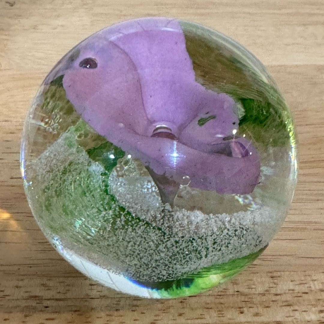 Caithness CALYPSO Lime Edition Purple Haze Scotland Paperweight G68128 ...