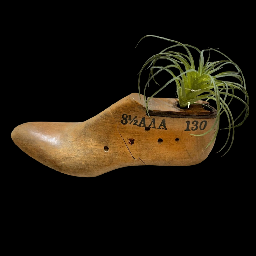 Vintage Slide O Matic Wooden Shoe Cobbler