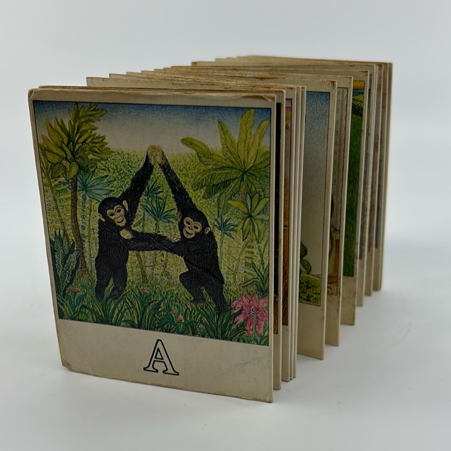 A Folding Zoo Alphabet Book by Monika Beisner: Farrar Straus Giroux ...