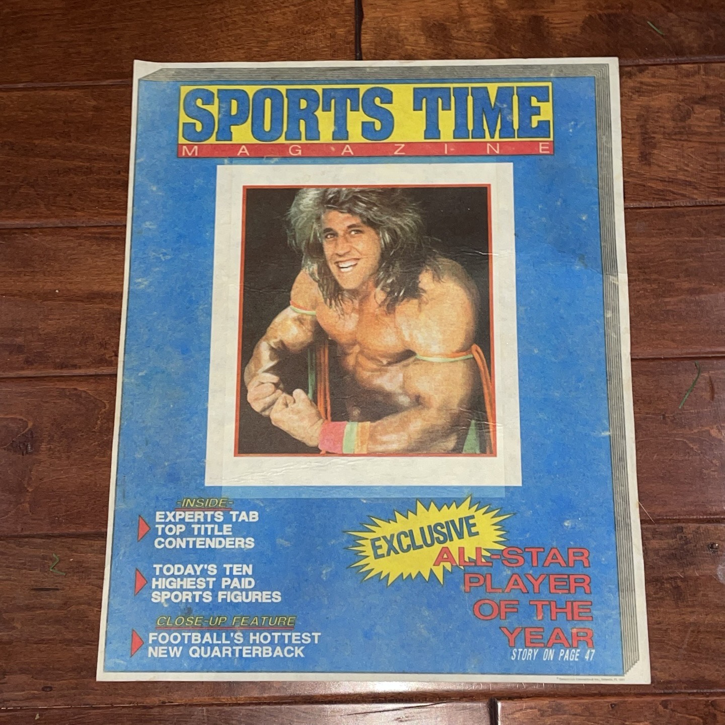 VTG Ultimate Warrior WWF 1991 Felt Poster 20 X 16 Colorvision International