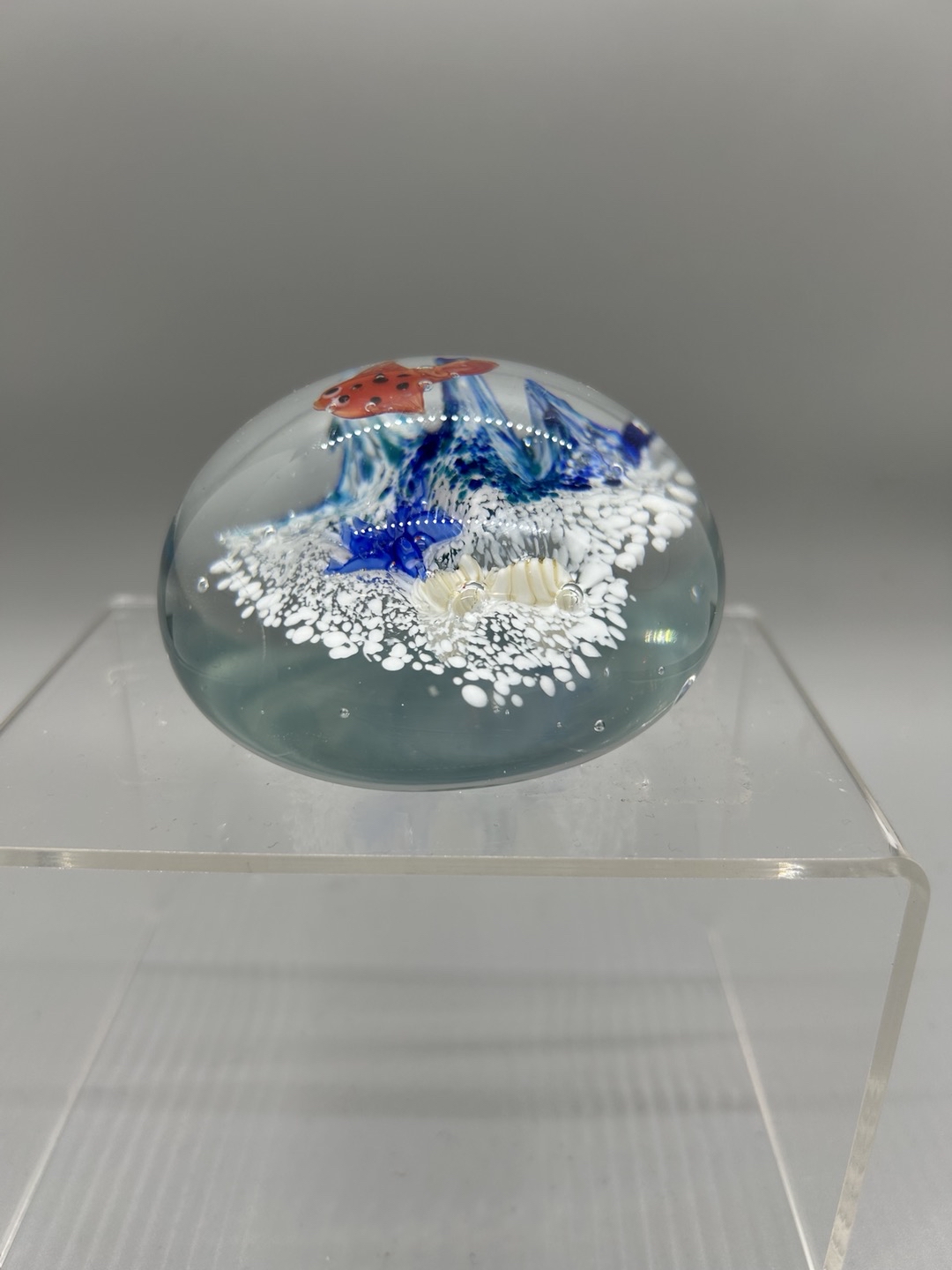 Paperweight - Ocean With Fish - Seapoot 3in