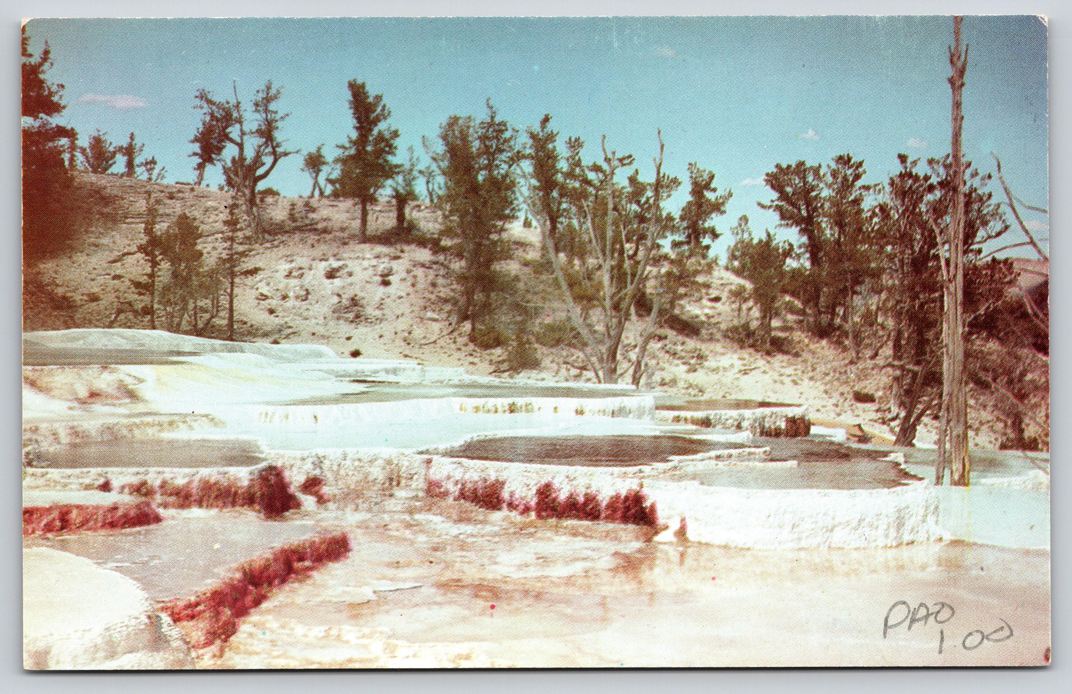 Postcard Angel Terrace Mammoth Hot Springs Yellowstone National Park ...