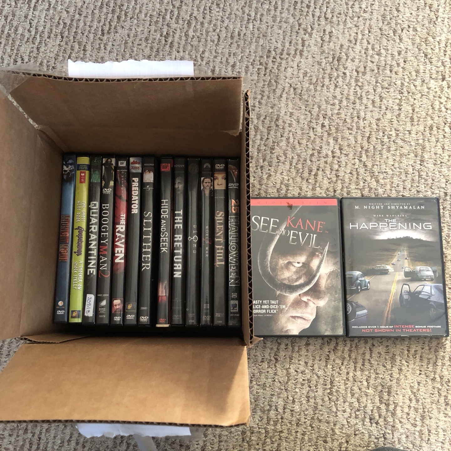 Horror Movie DvD Lot (15) Box 1