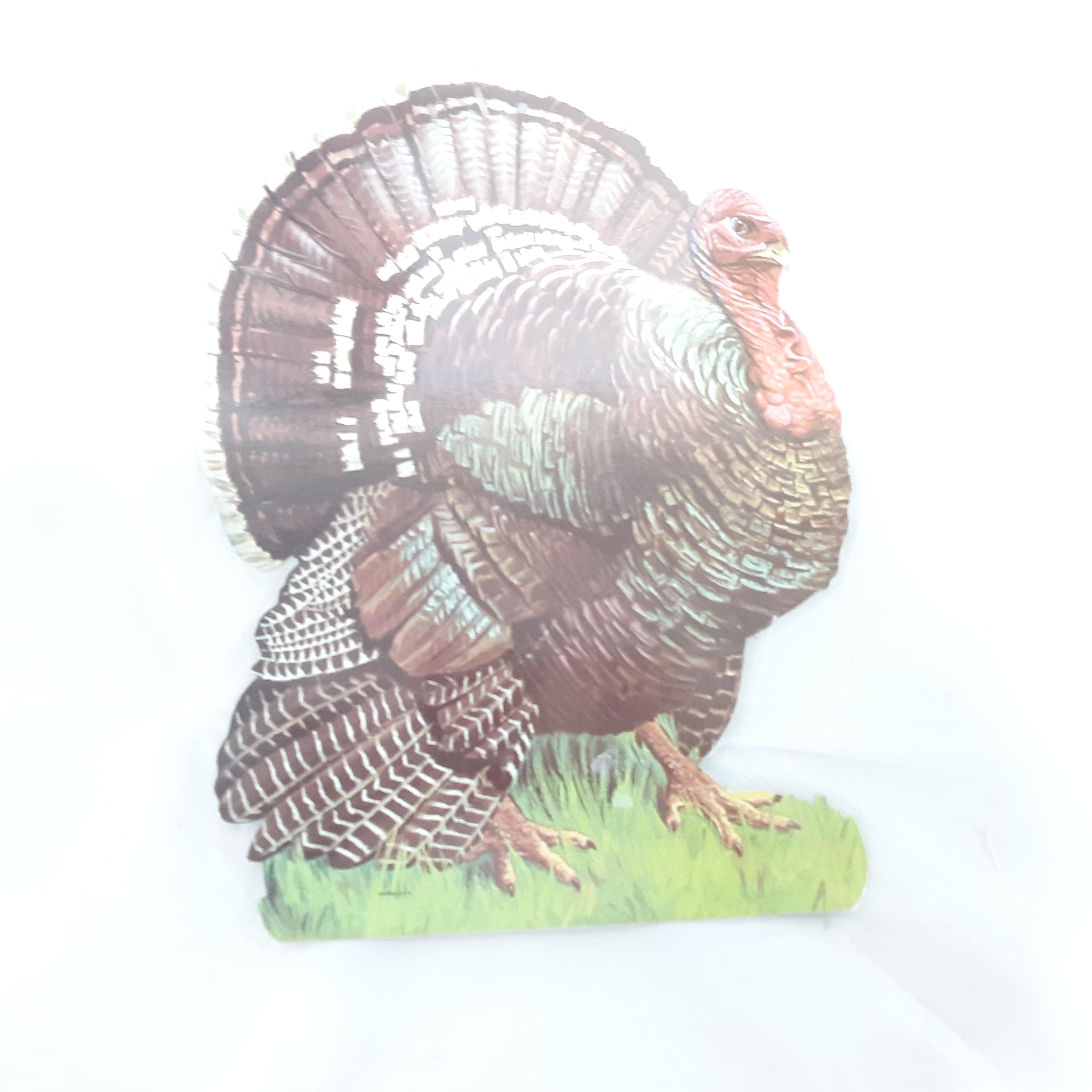 Vintage Eureka Die Cut Turkey Thanksgiving Fall Wall Decor One Sided
