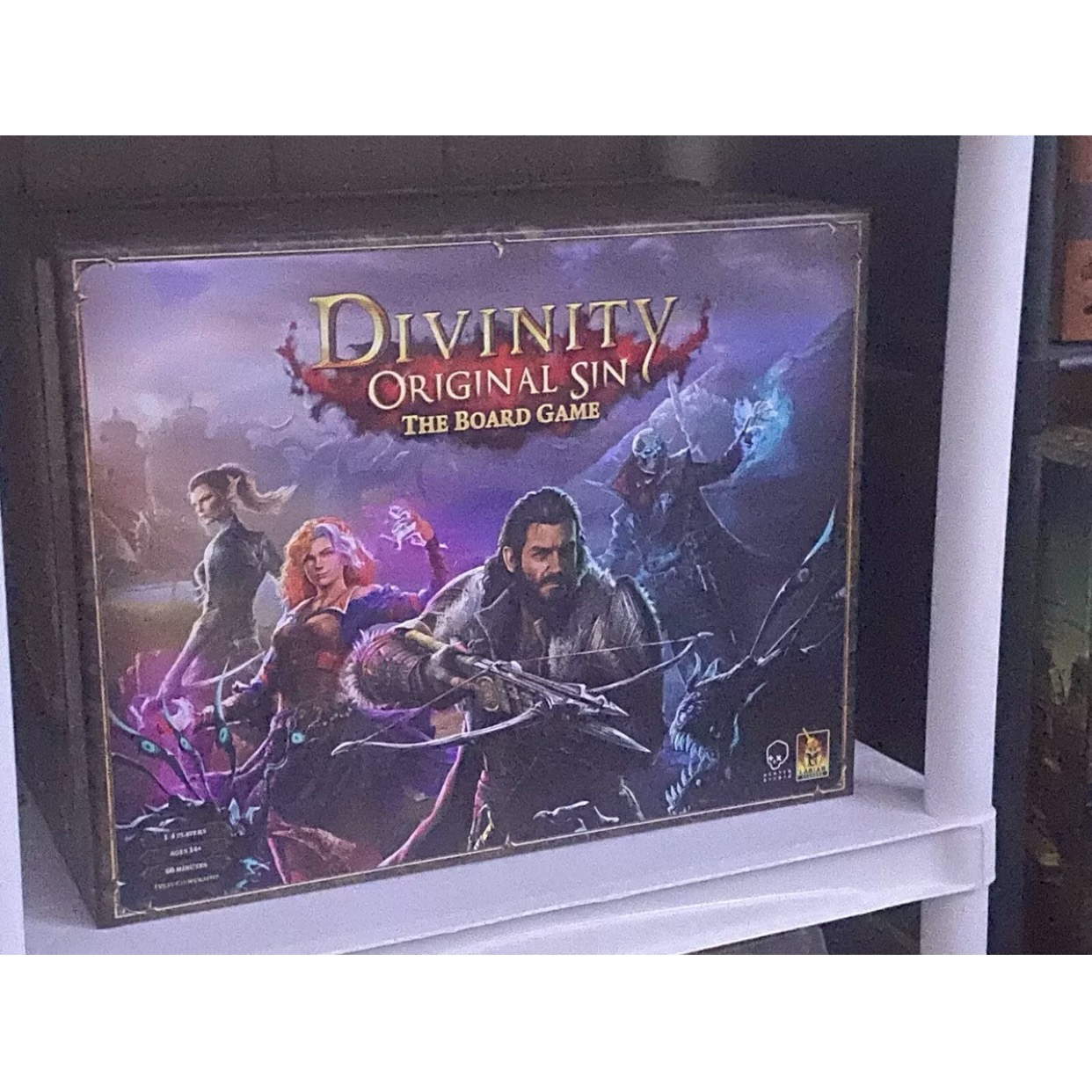 Divinity Original Sin