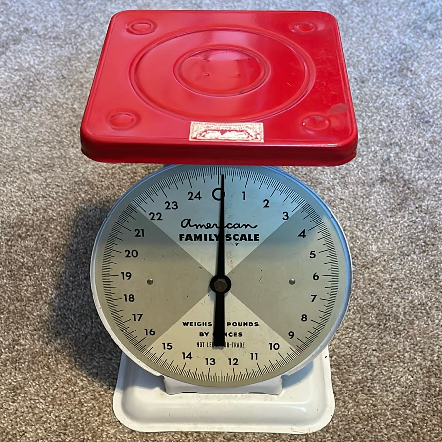 Vintage Metal American Family Scale 8” Tall