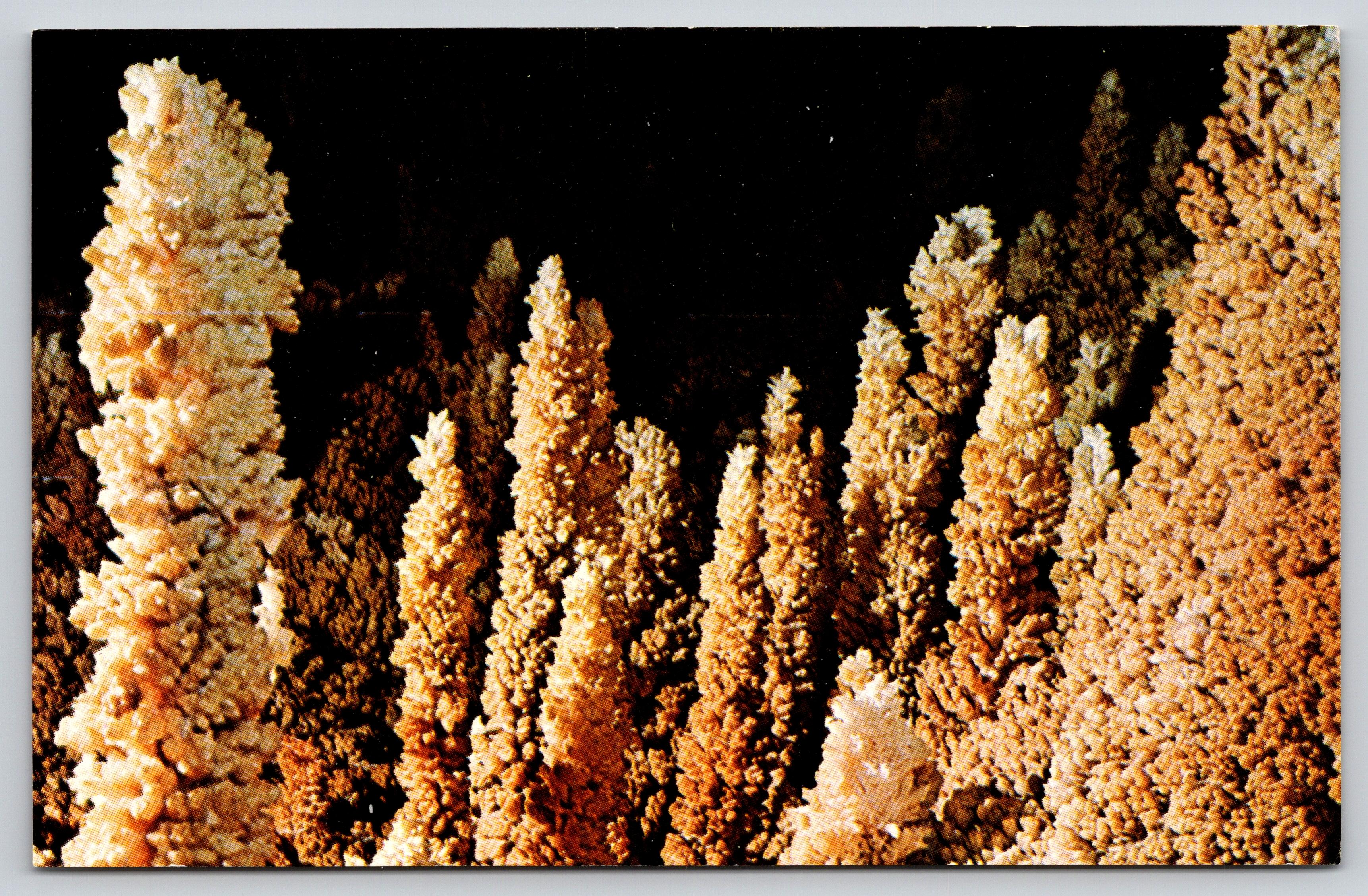 Postcard Popcorn Tree Room Caverns of Sonora Texas Karst Geology ...