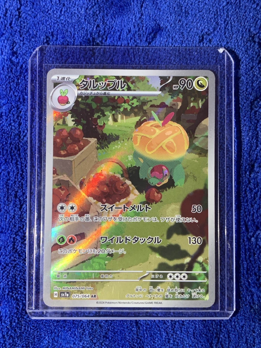 Appletun #75 - Japanese Paradise Dragona