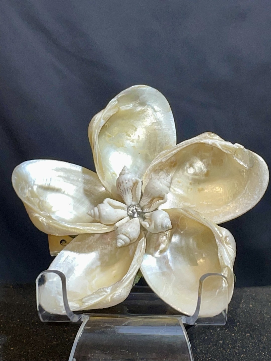 Shell and Rhinestone Barrette 3.5” Wear In Hair