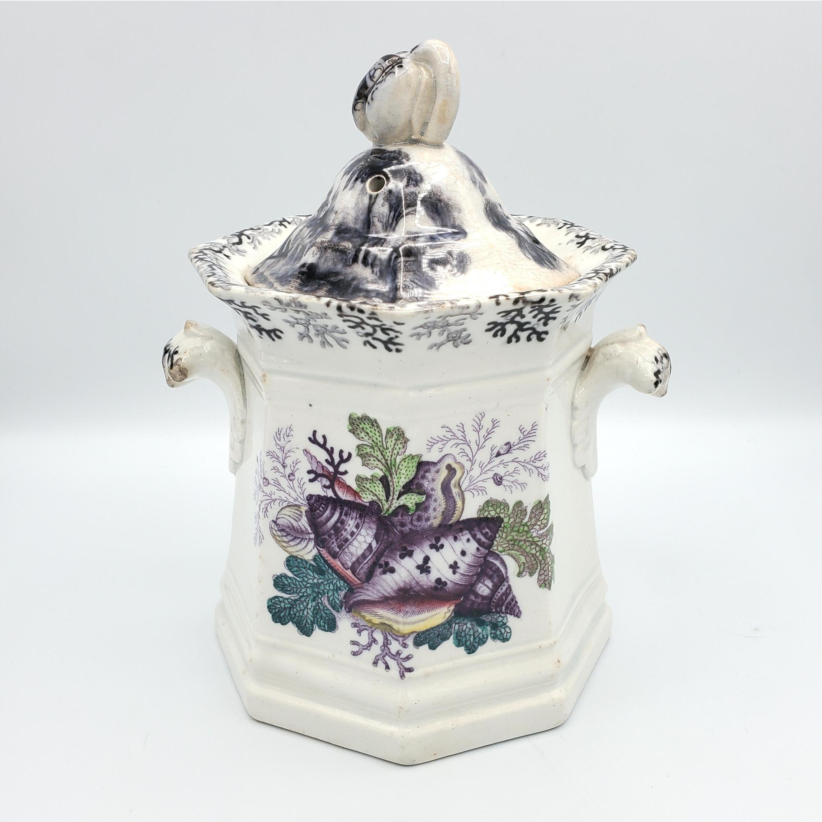 Antique Ceramic Lidded Canister with Seashell Design, Furnival Coral ...