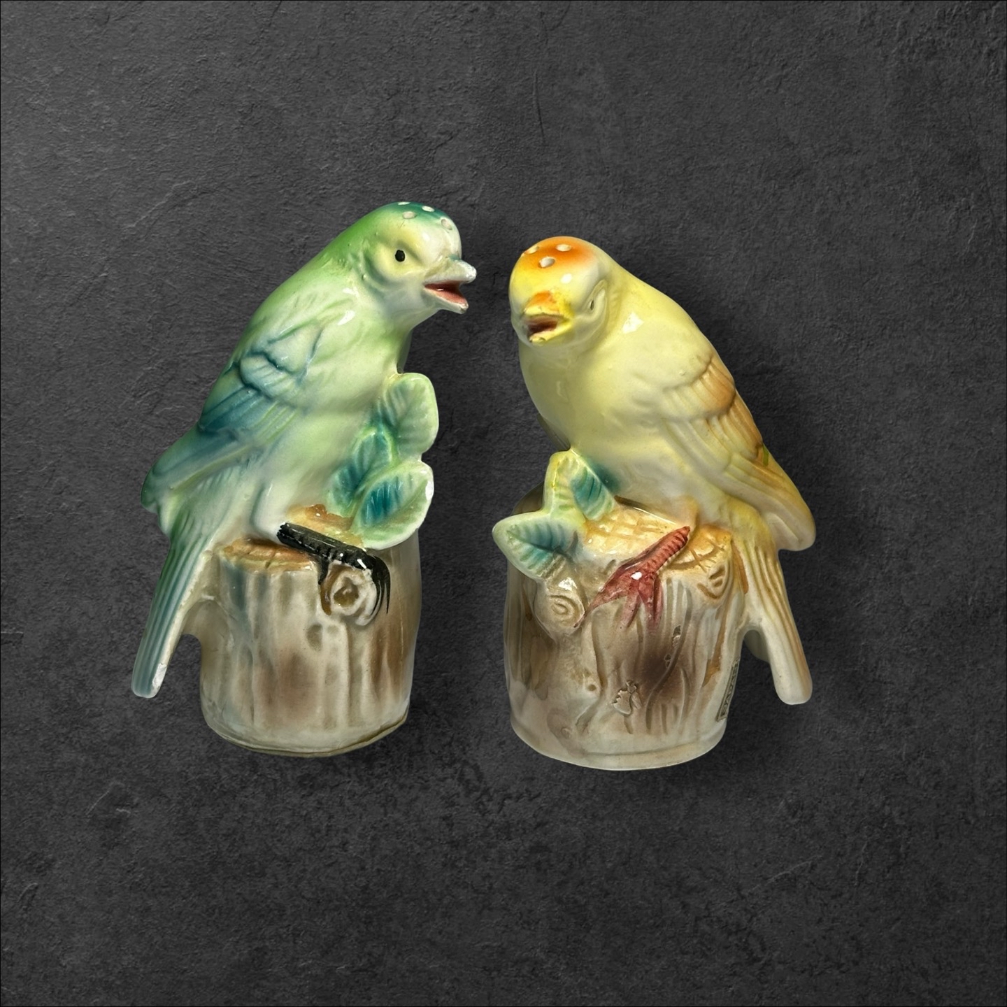 Vintage Pair Of Parakeets Salt And Pepper Shakers With Tweet Sounds! By ...