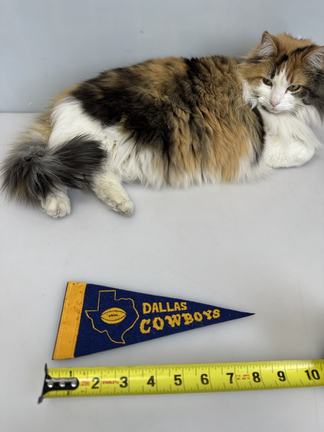 Miniature Vintage 1950S Dallas Cowboys felt pennant.