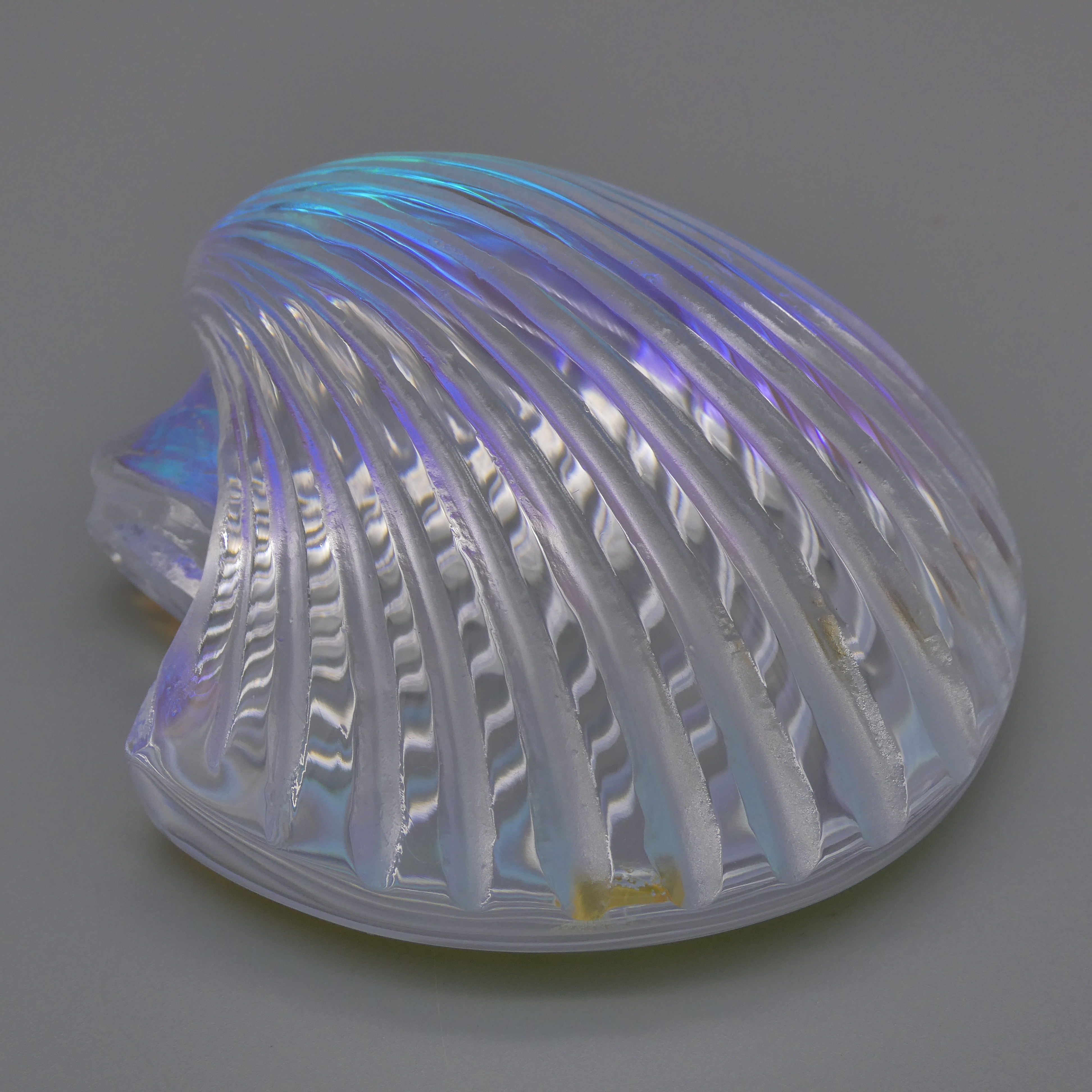 Caplette Inner Glow Scallop Sea Shell Figurine Iridescent Dichroic ...
