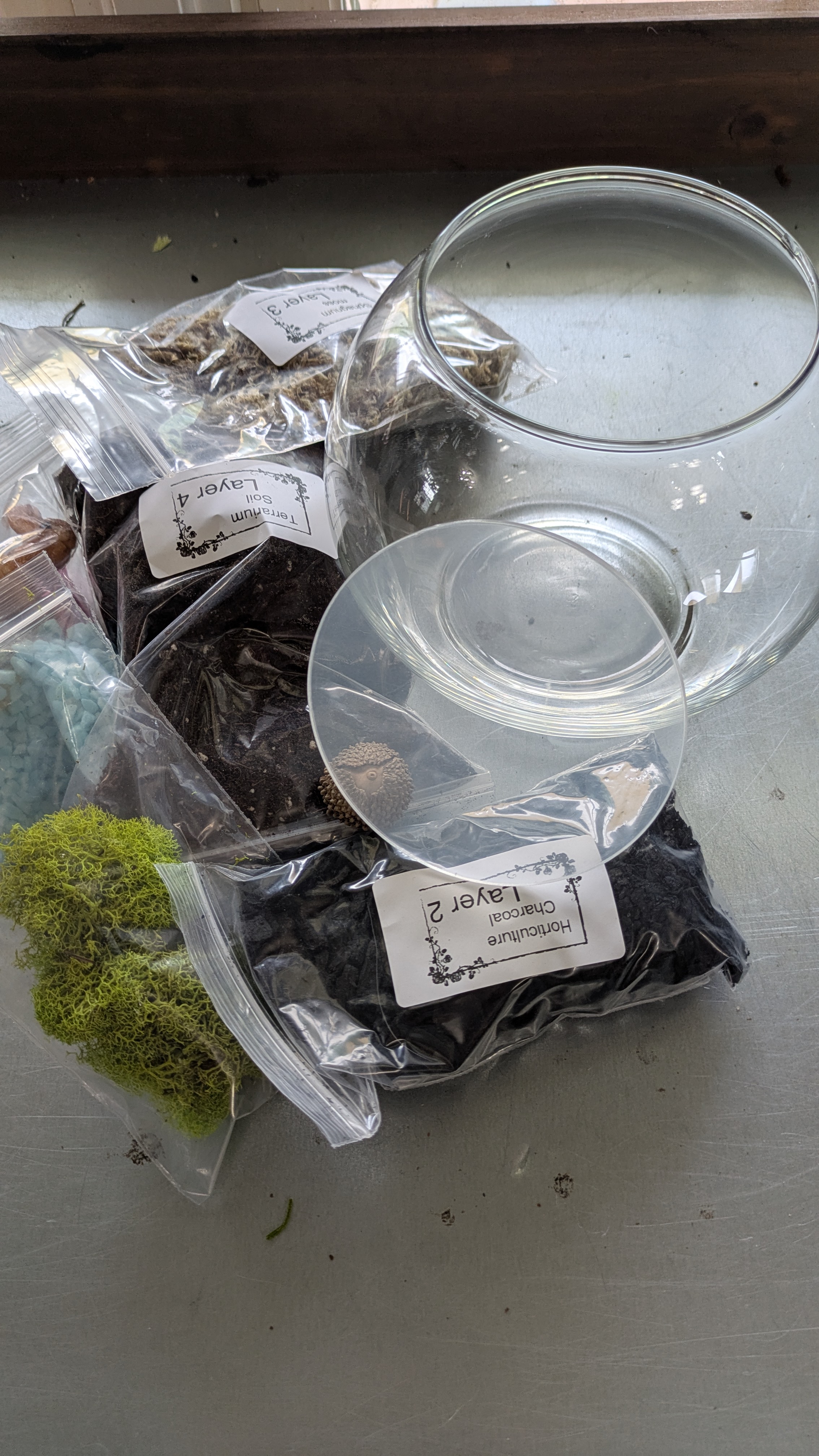 Create your own terrarium kit live!