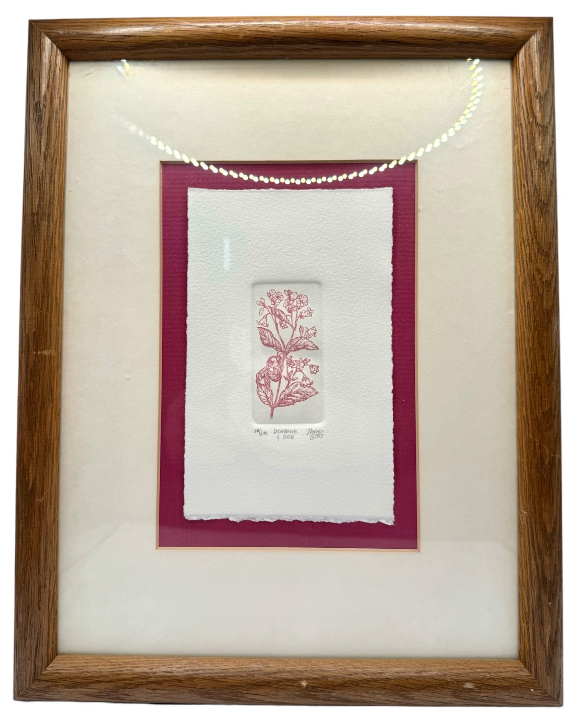 Signed Marsha K Howe Framed Etching Floral Dogbane & Bee 1987 13 x 10.25"