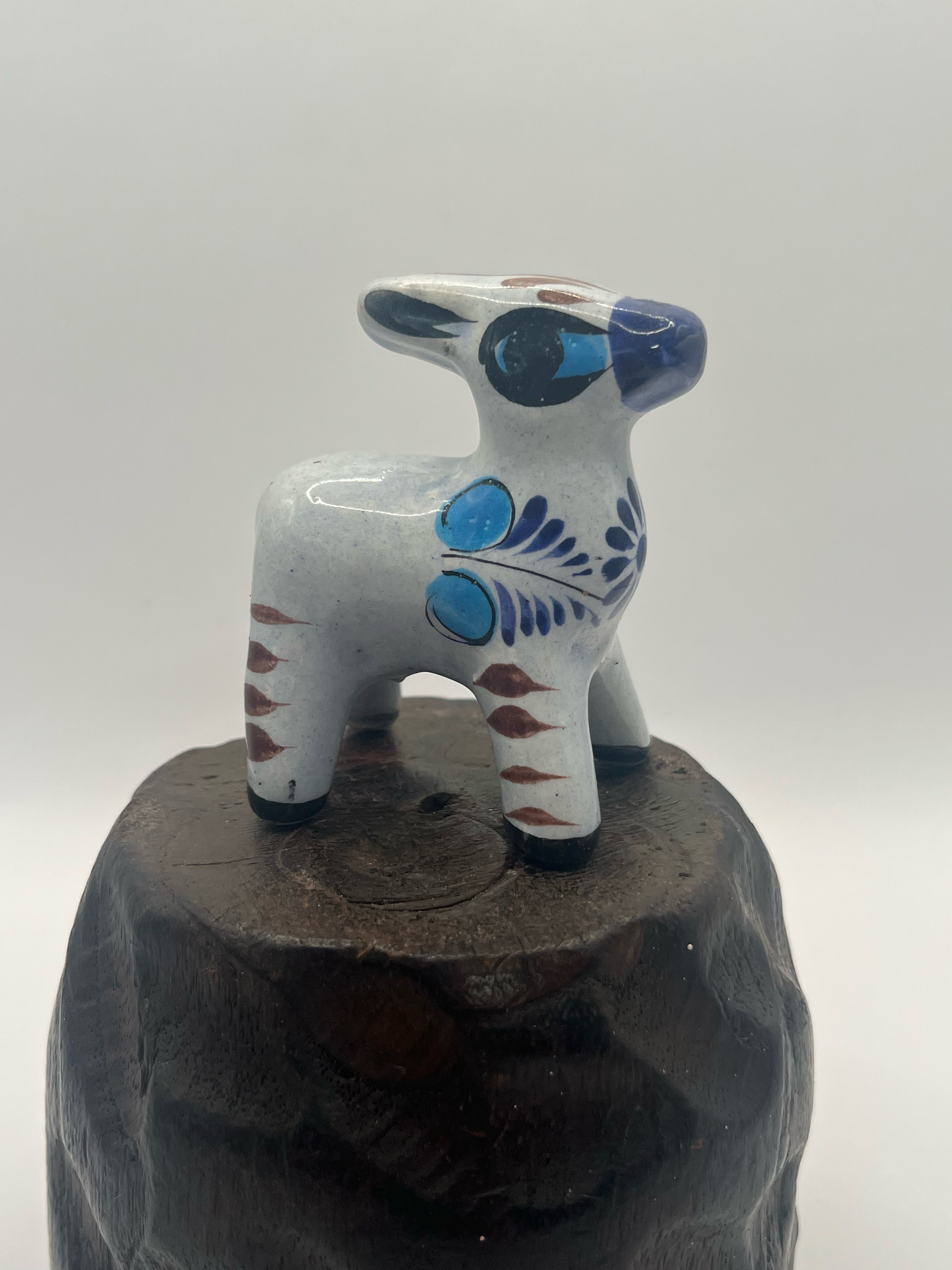 Mexico Tonala Donkey