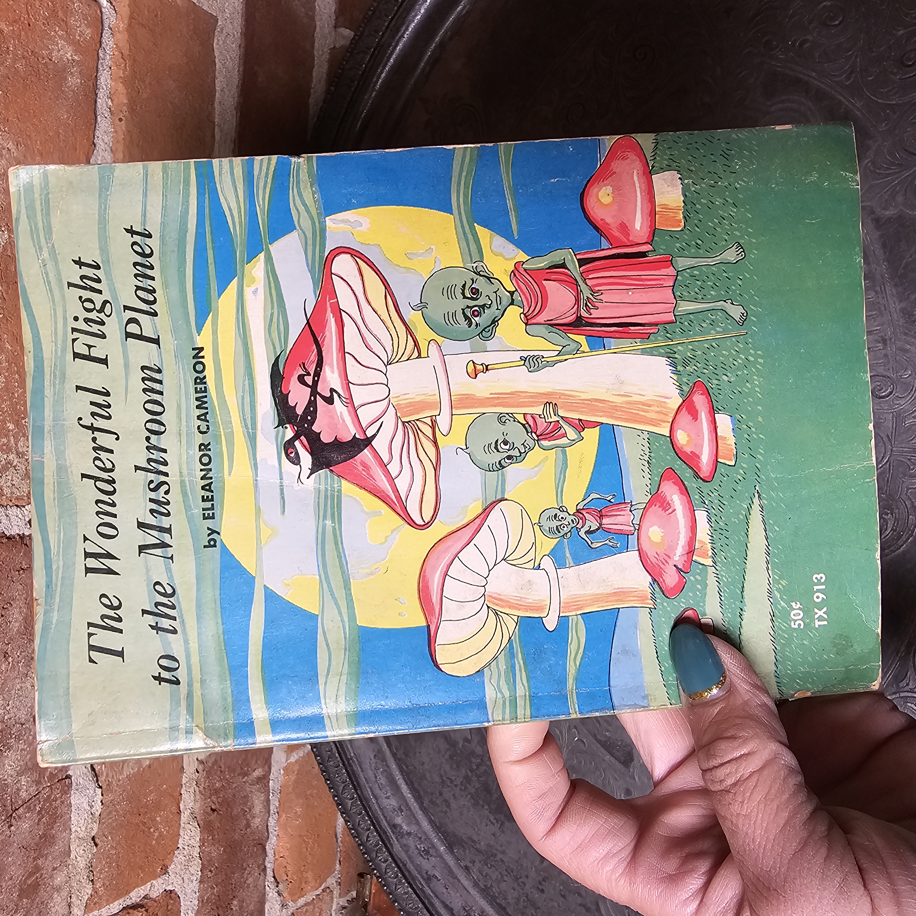 The Wonderful Flight To The Mushroom Planet by Eleanor Cameron 1966 ...