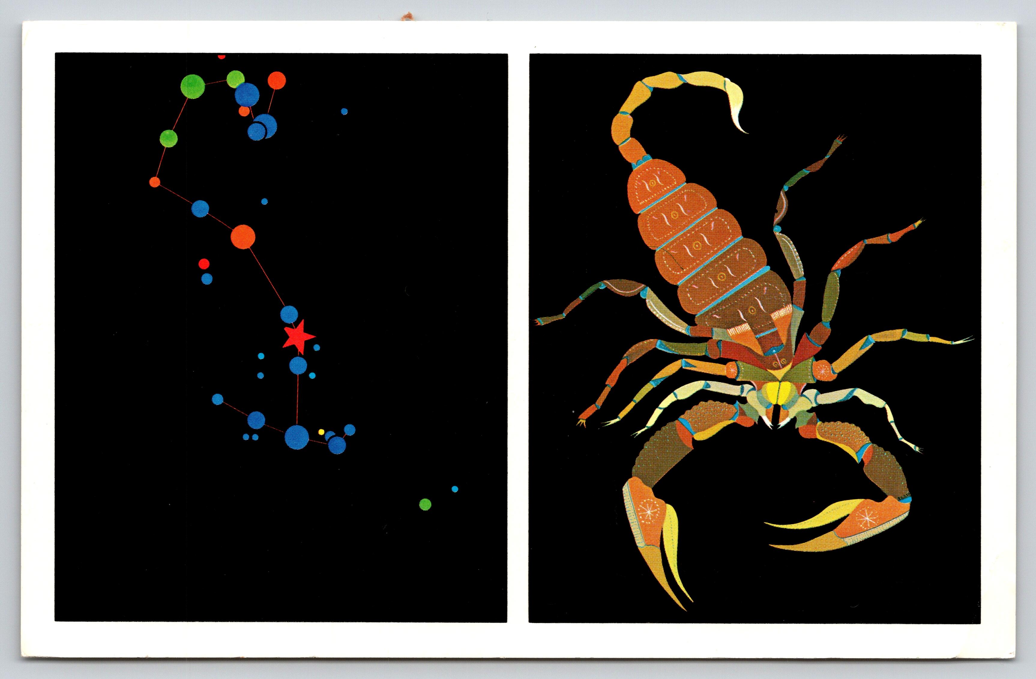 Postcard Scorpius the Scorpion Zodiac Sign Constellation Astronomy - 14078