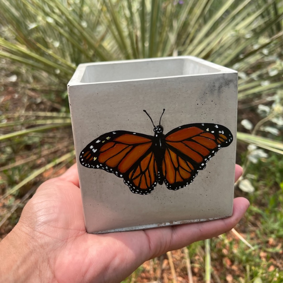 4” Monarch Hand Painted Concrete Planter