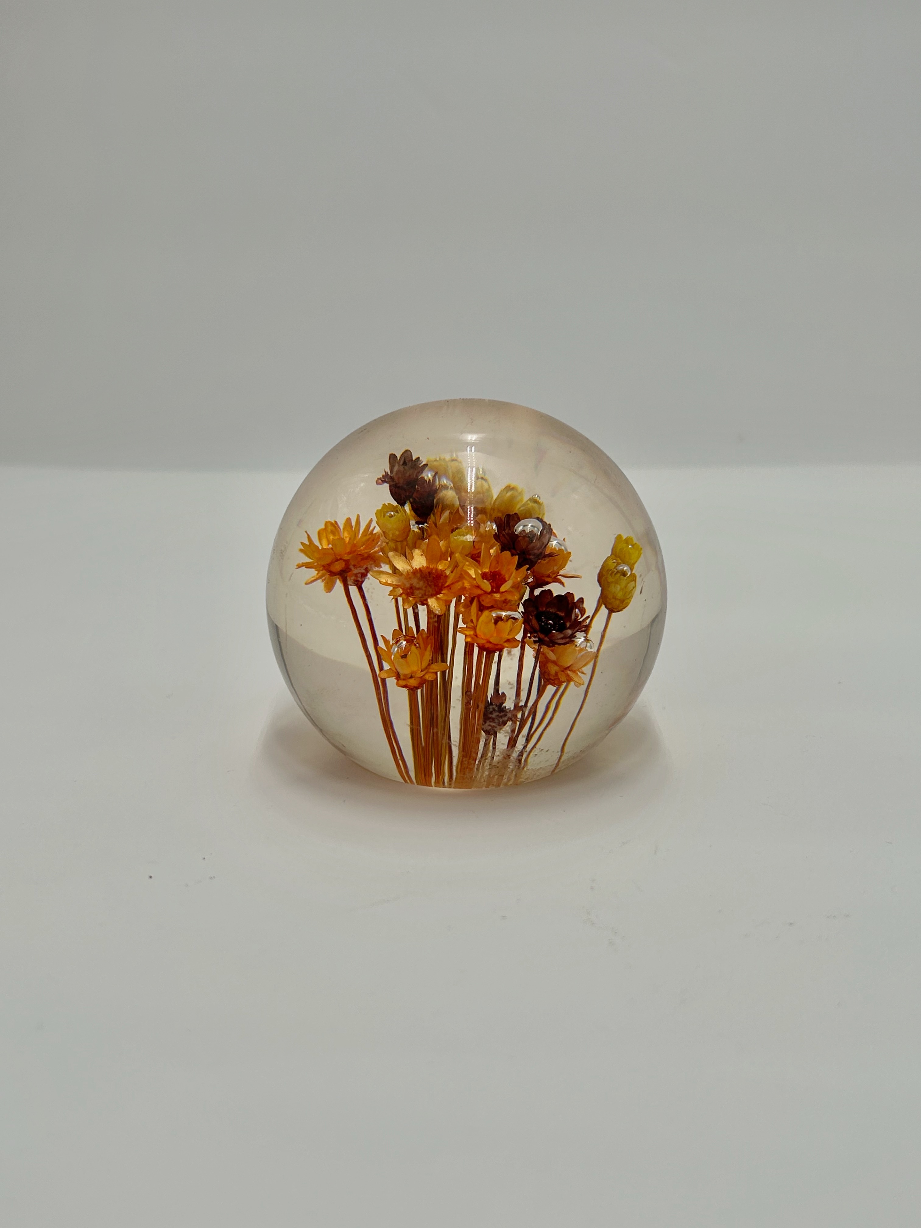 Dried Floral Lucite Vintage Paperweight