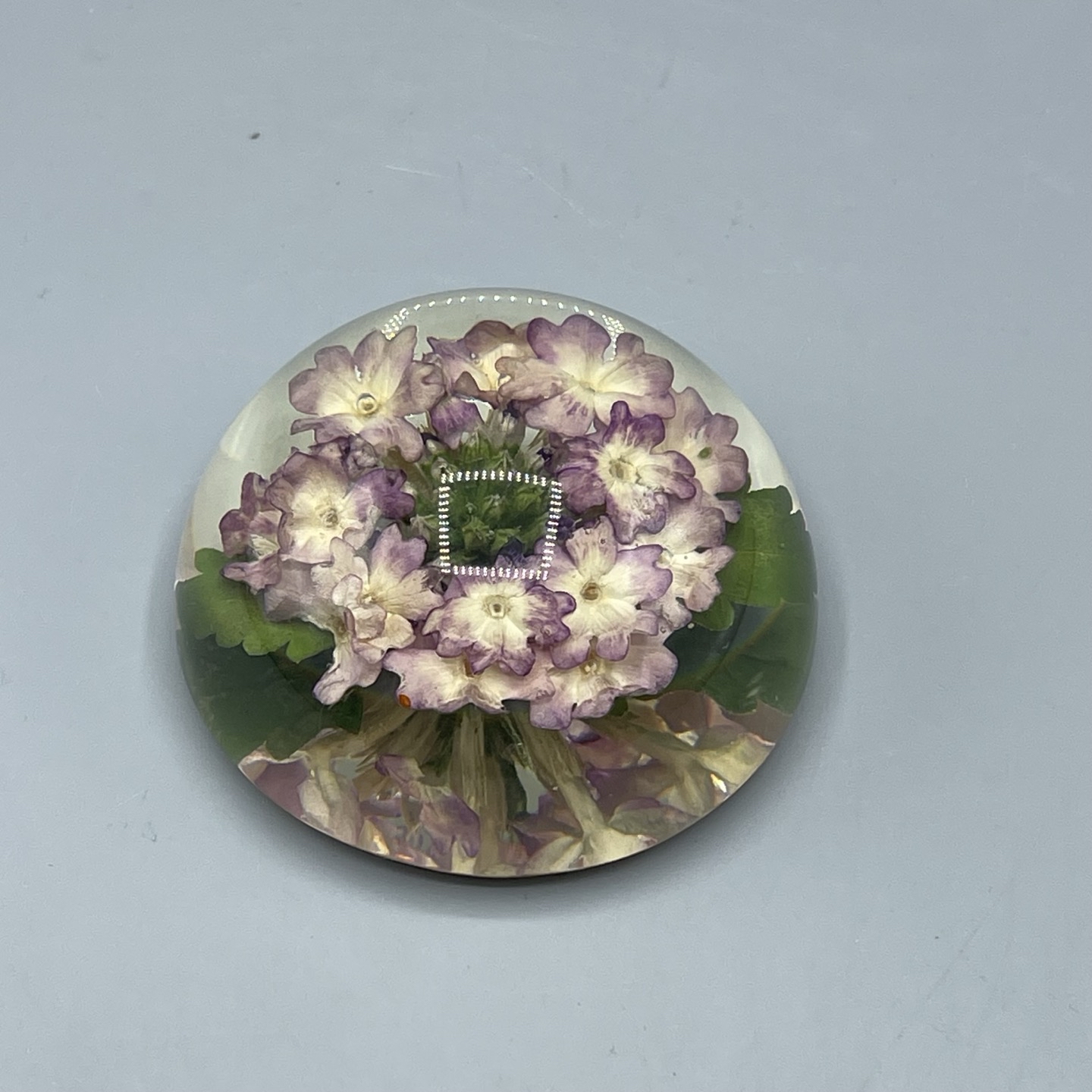 Vintage W Rolfe Acrylic Lucite Paperweight With Imbedded Dried Flowers